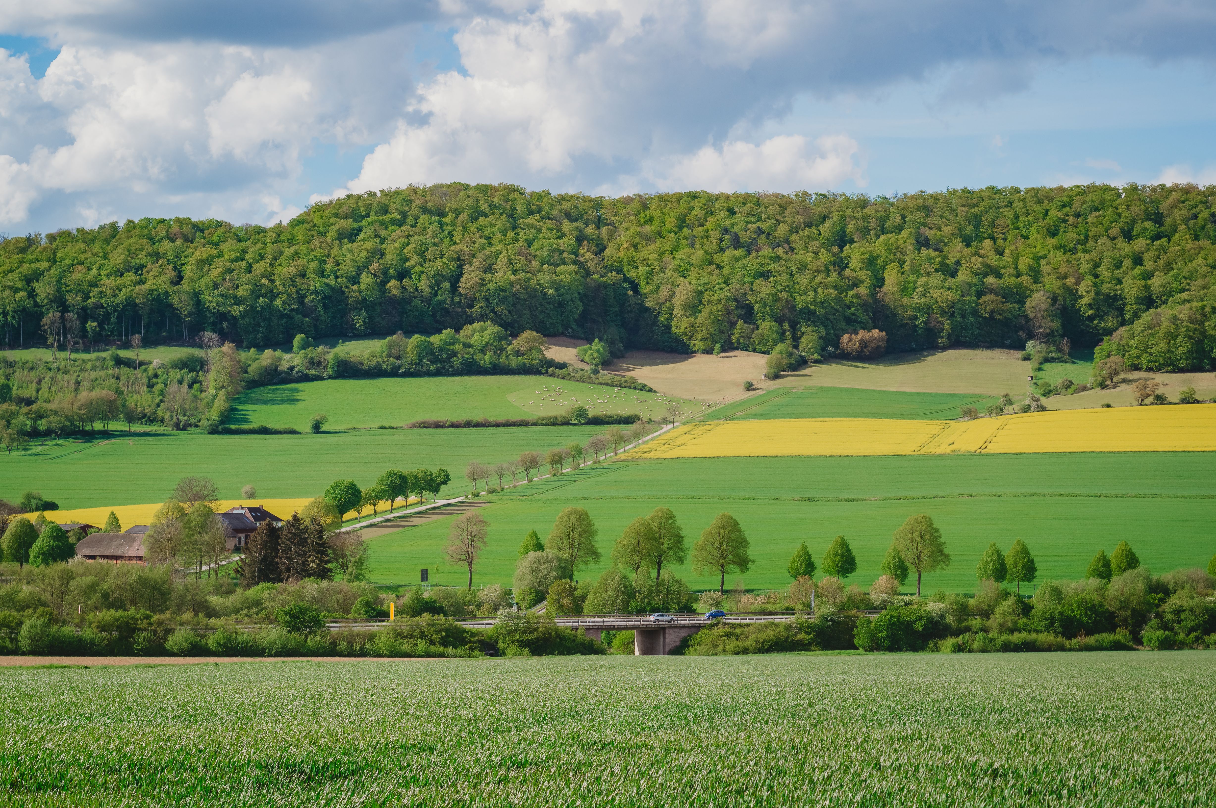 Scenic Countryside Landscape in Lower Saxony · Free Stock Photo