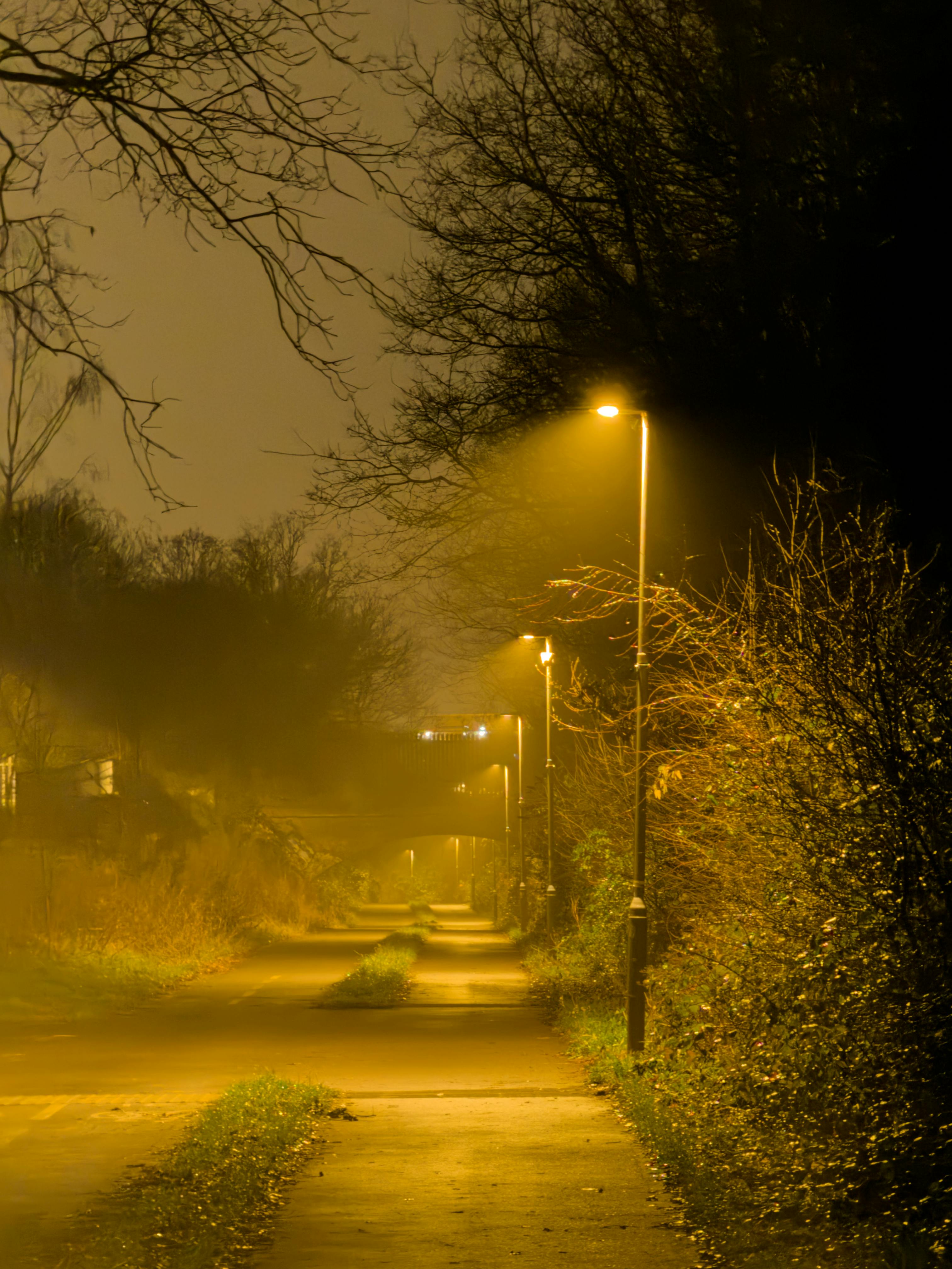 Lighted Street Lamp Post during Night Time · Free Stock Photo