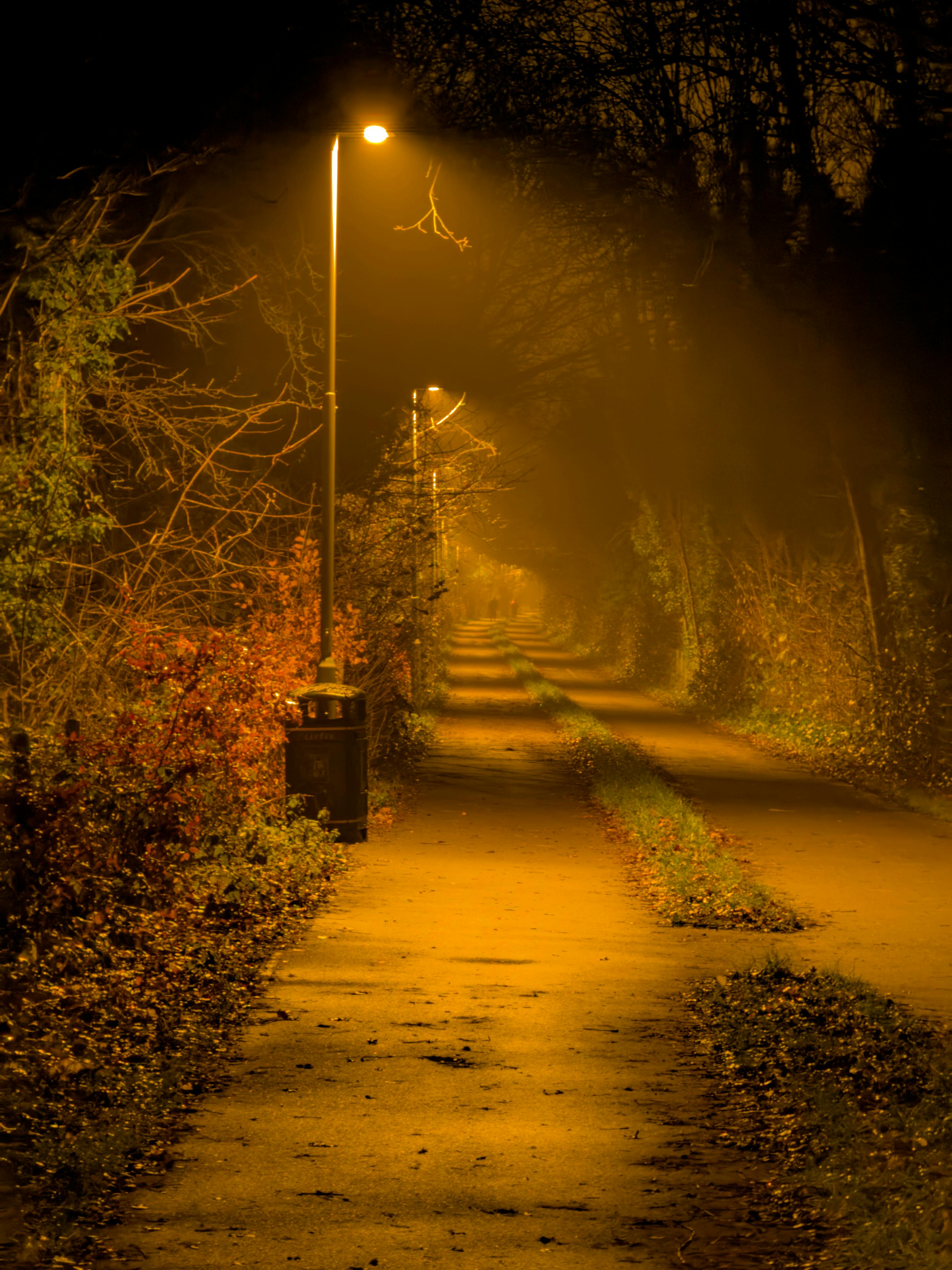 Misty Pathway Illuminated by Streetlights at Night · Free Stock Photo