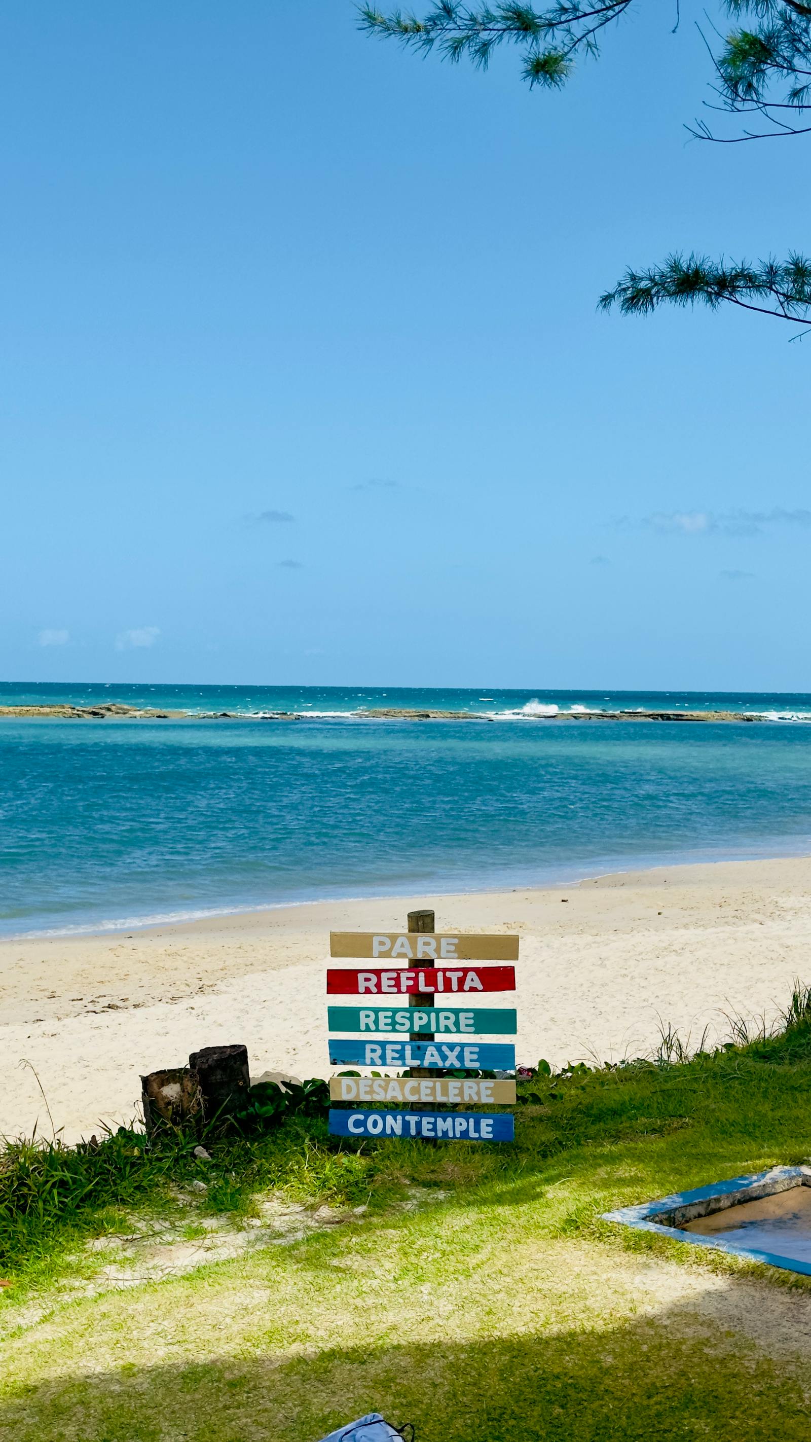 Motivation Pfp Photos, Download The BEST Free Motivation Pfp Stock ...