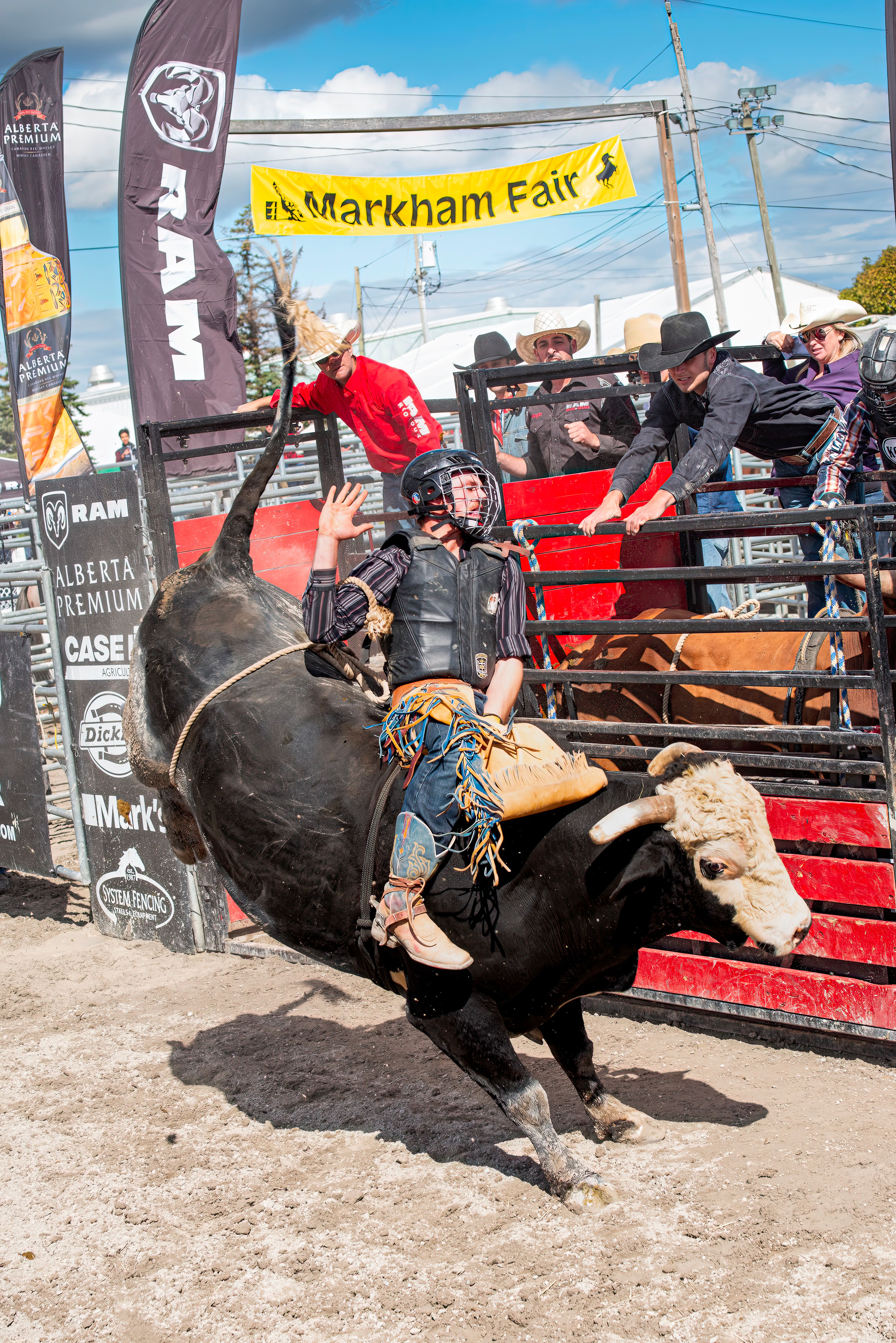 Exciting Bull Riding at Markham Fair Rodeo · Free Stock Photo