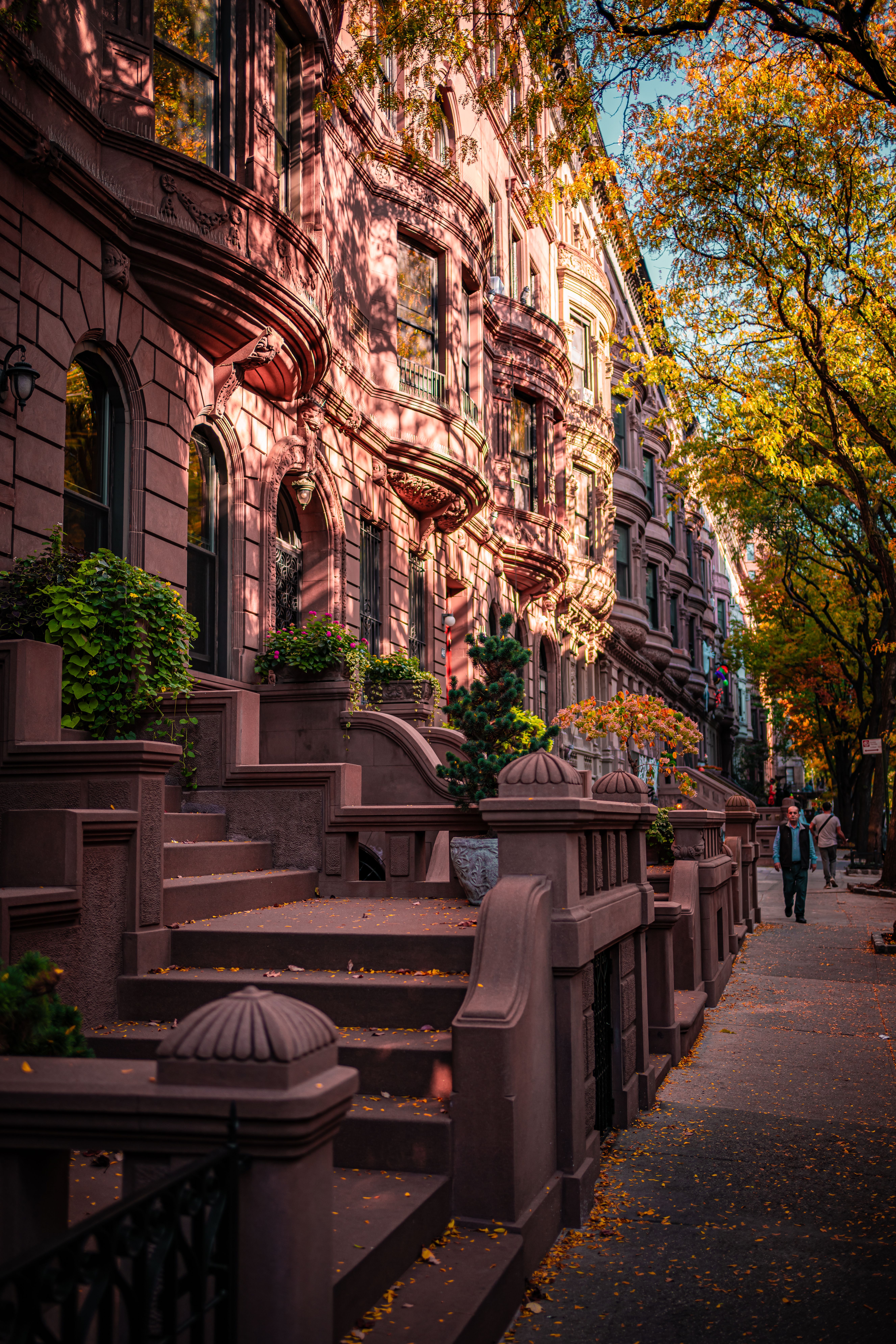 Charming Brownstone Street in New York · Free Stock Photo