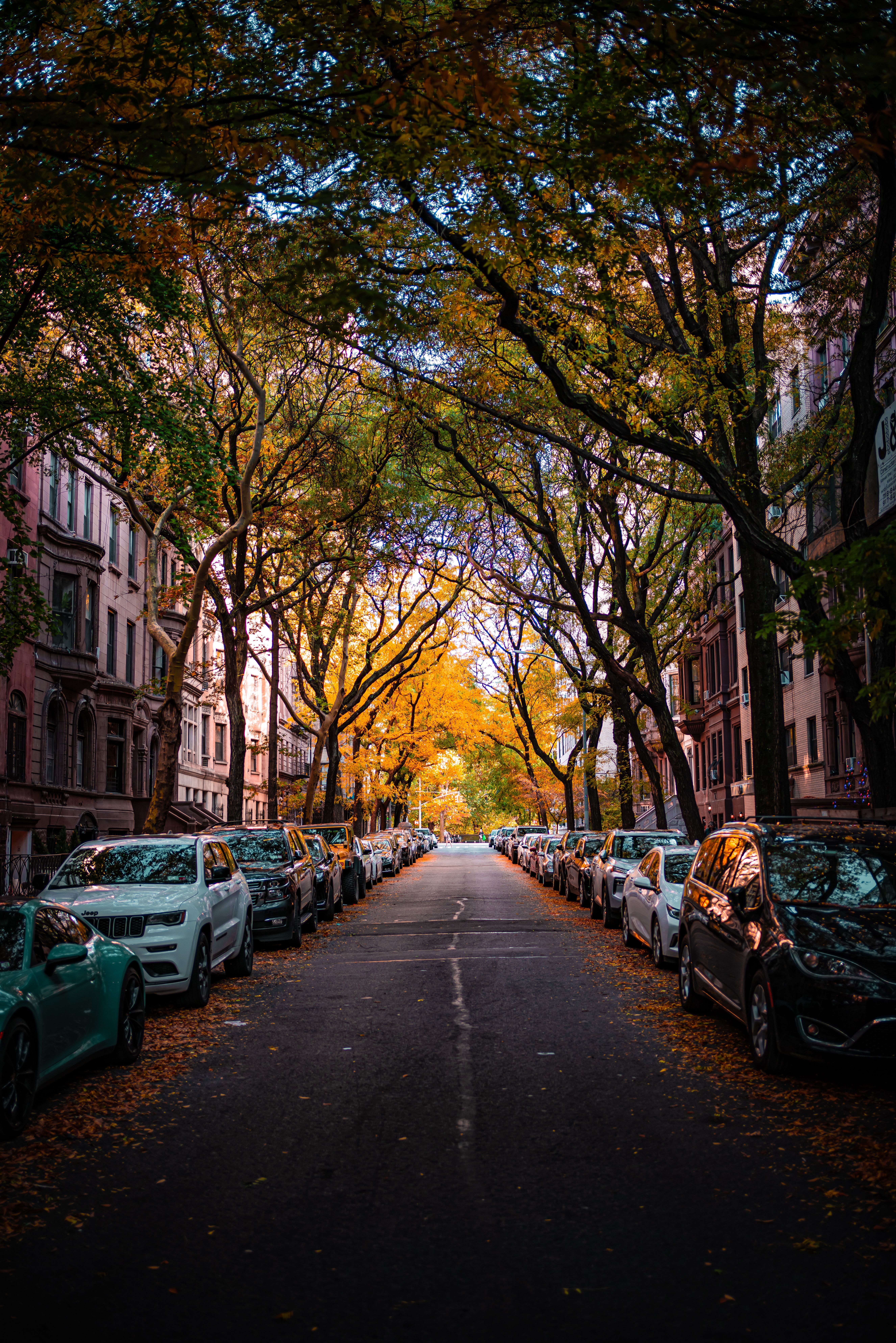 Autumn Street in New York City · Free Stock Photo