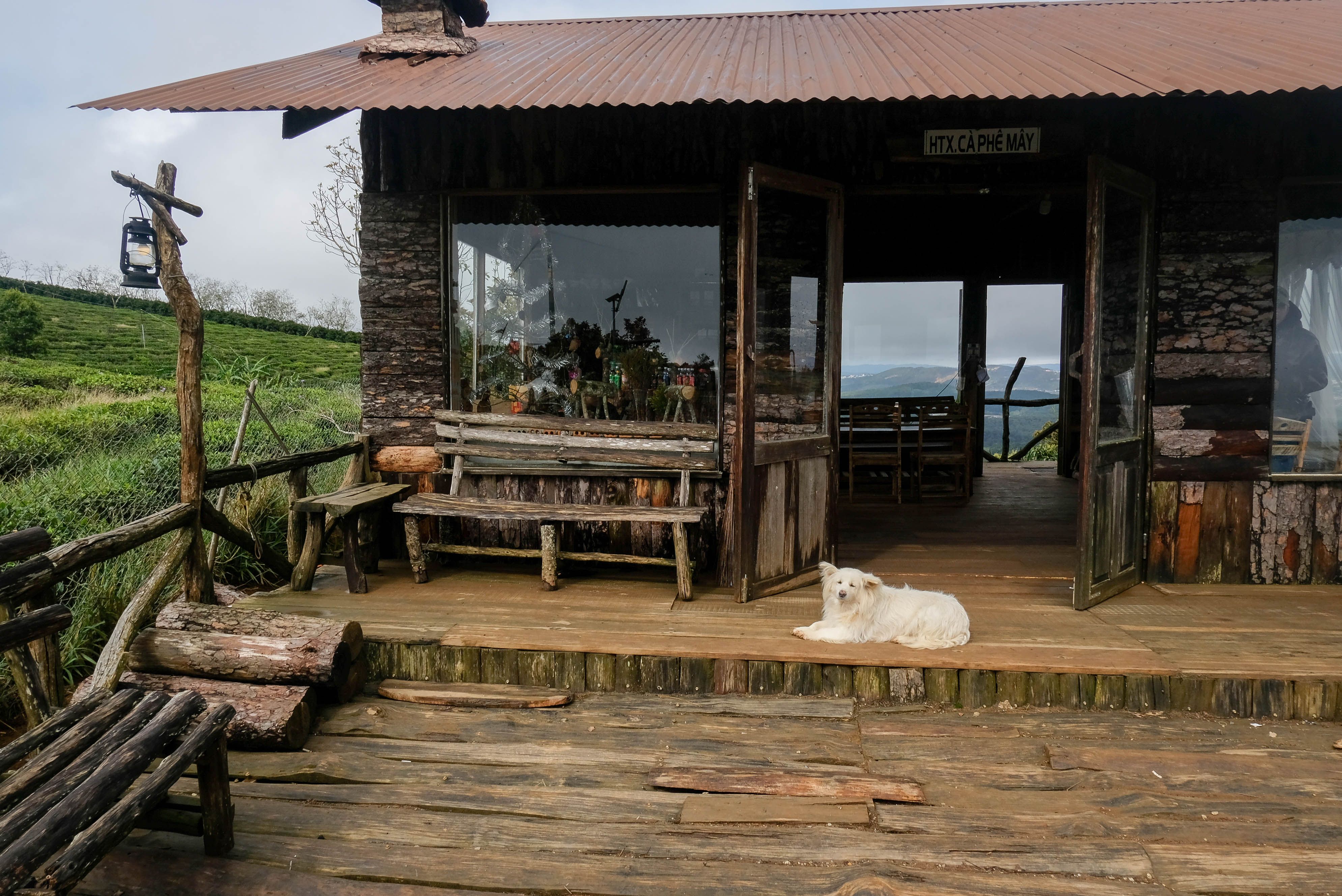 Rustic Cabin with Dog on Porch in Countryside · Free Stock Photo