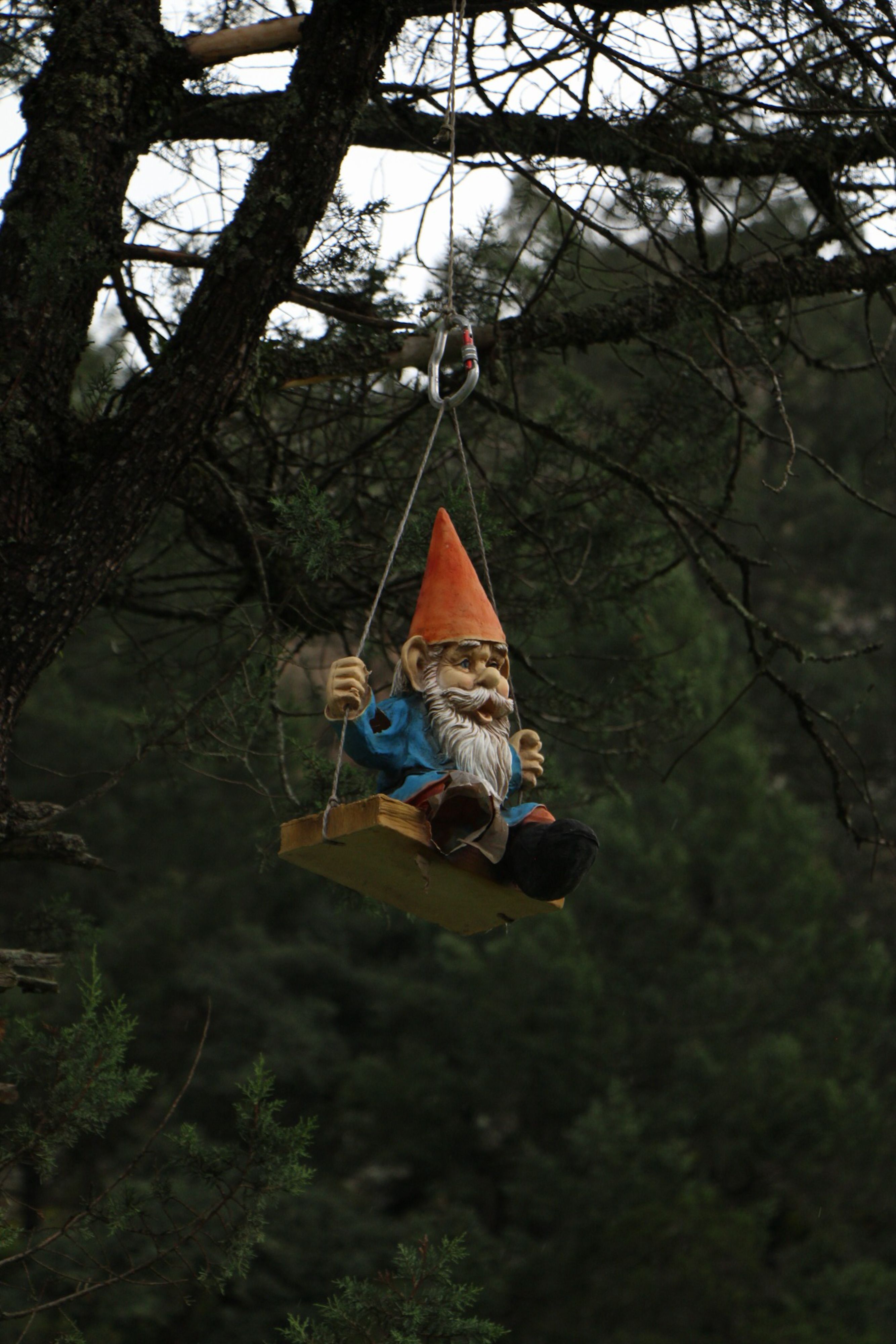 Garden Gnome on a Swing Amid Forest Backdrop · Free Stock Photo