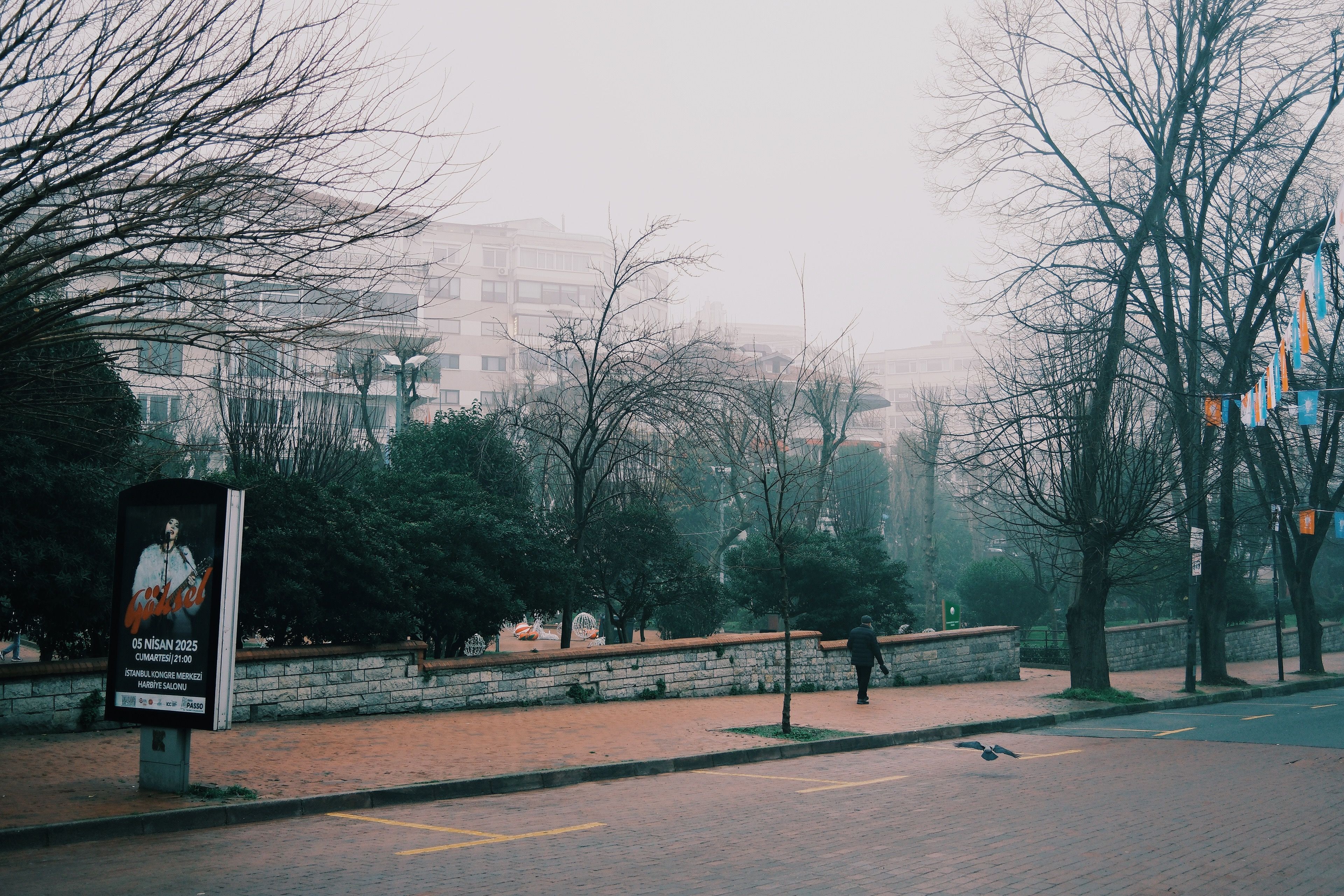 Foggy Urban Street with Winter Trees · Free Stock Photo