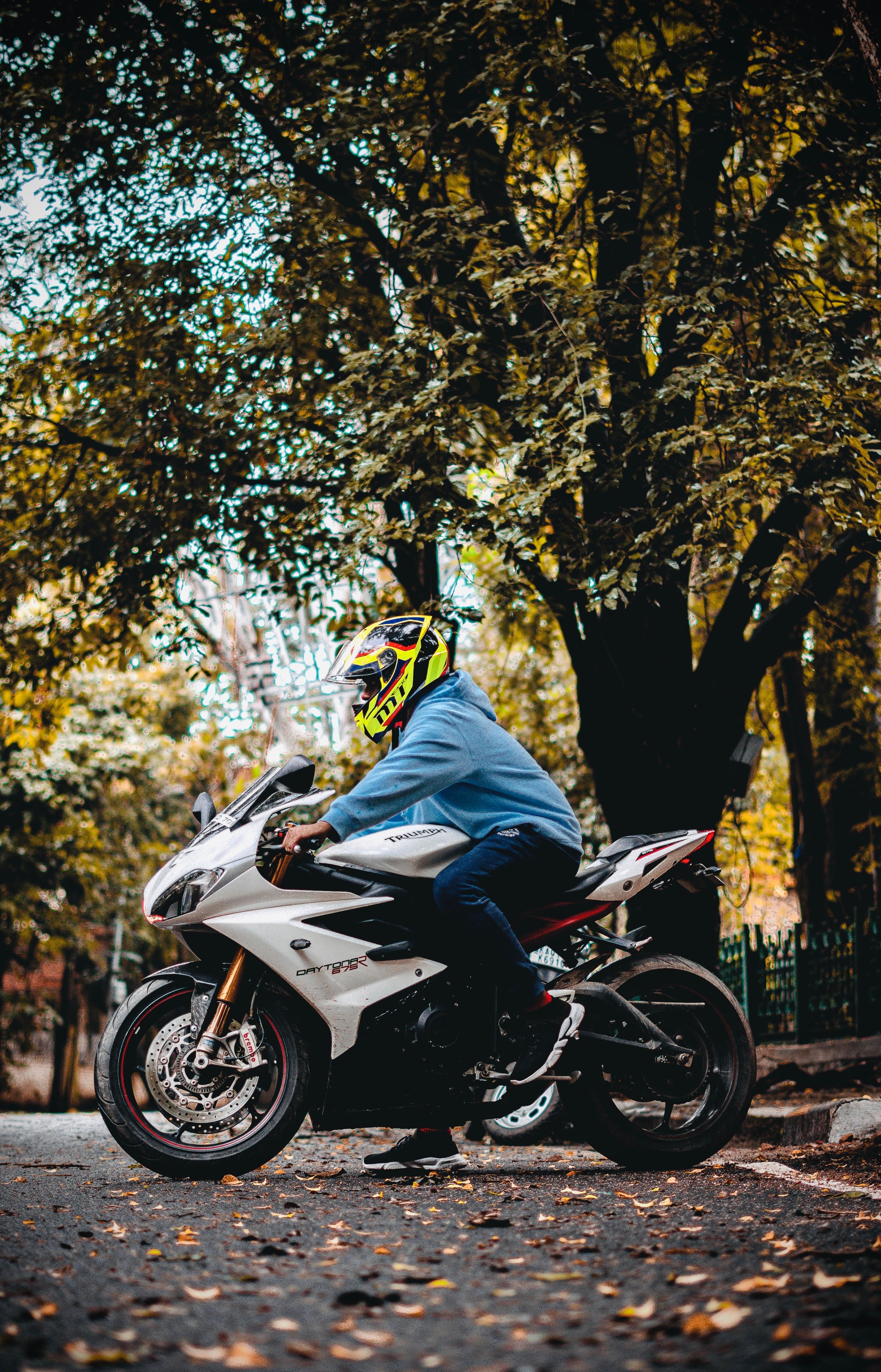Motorcyclist on Scenic Road in Autumn Setting · Free Stock Photo
