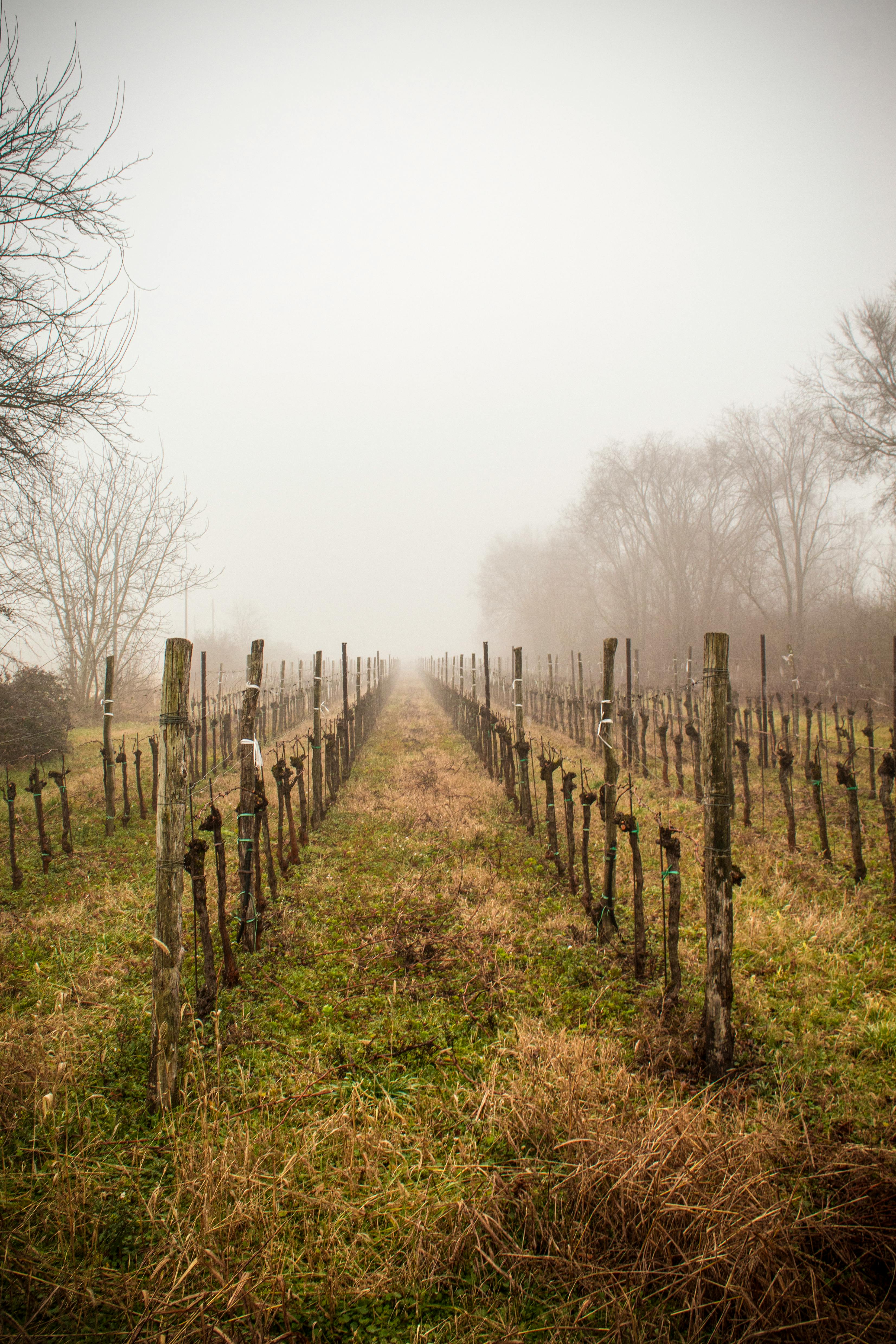 Oceaday Eerie Photos, Download The BEST Free Oceaday Eerie Stock Photos ...