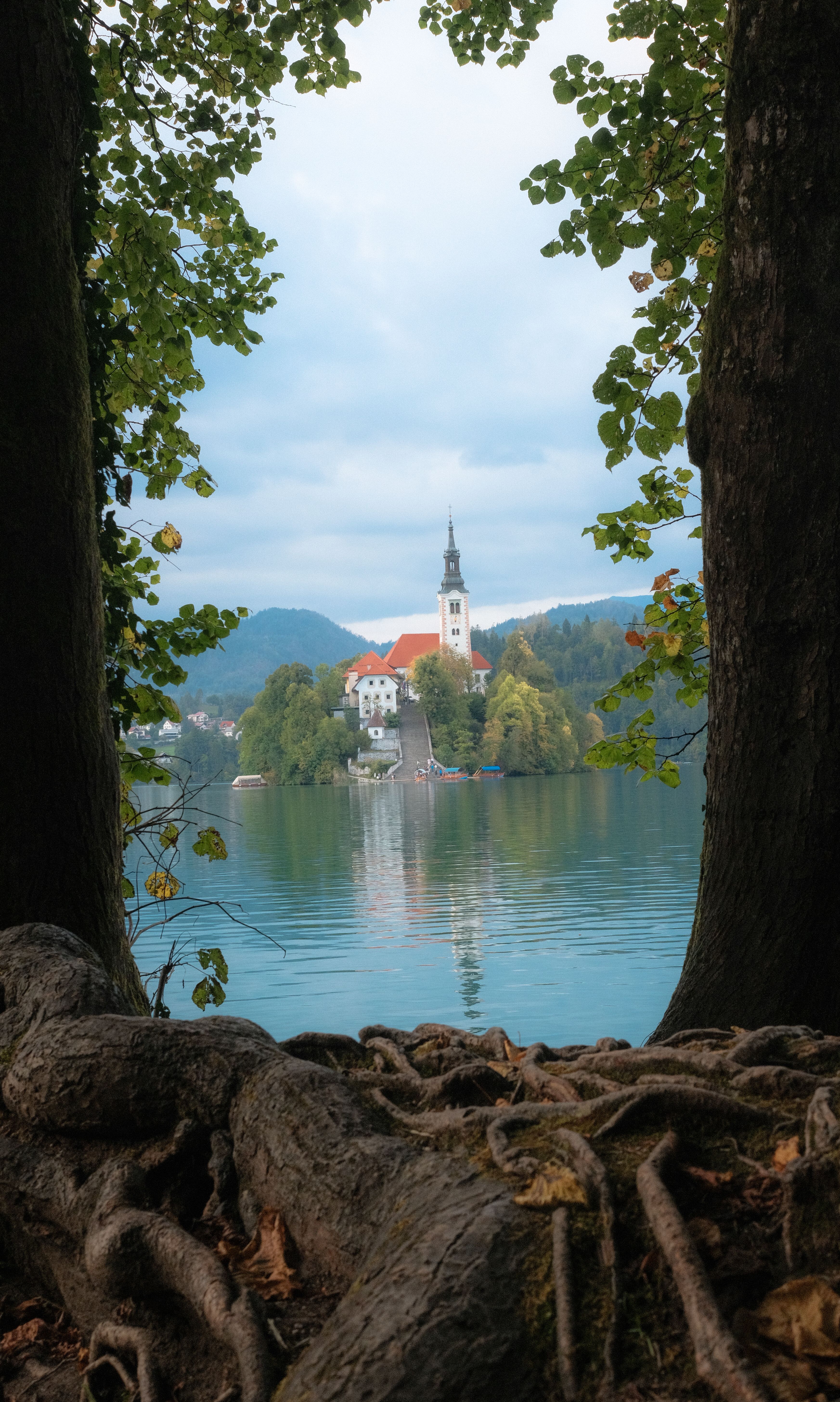 Liefde Bled Photos, Download The BEST Free Liefde Bled Stock Photos ...