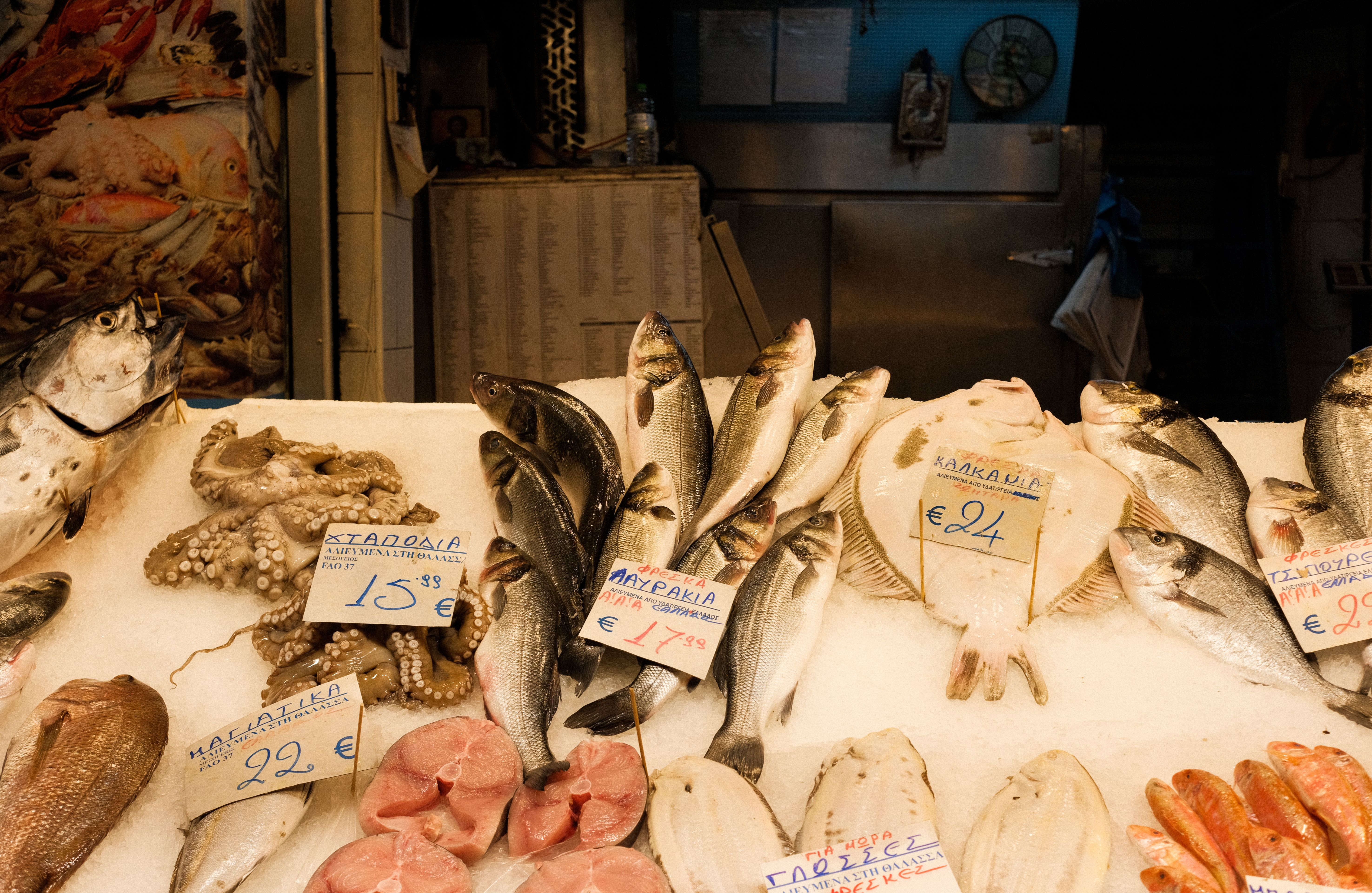 Greece Market Photos, Download The BEST Free Greece Market Stock Photos ...
