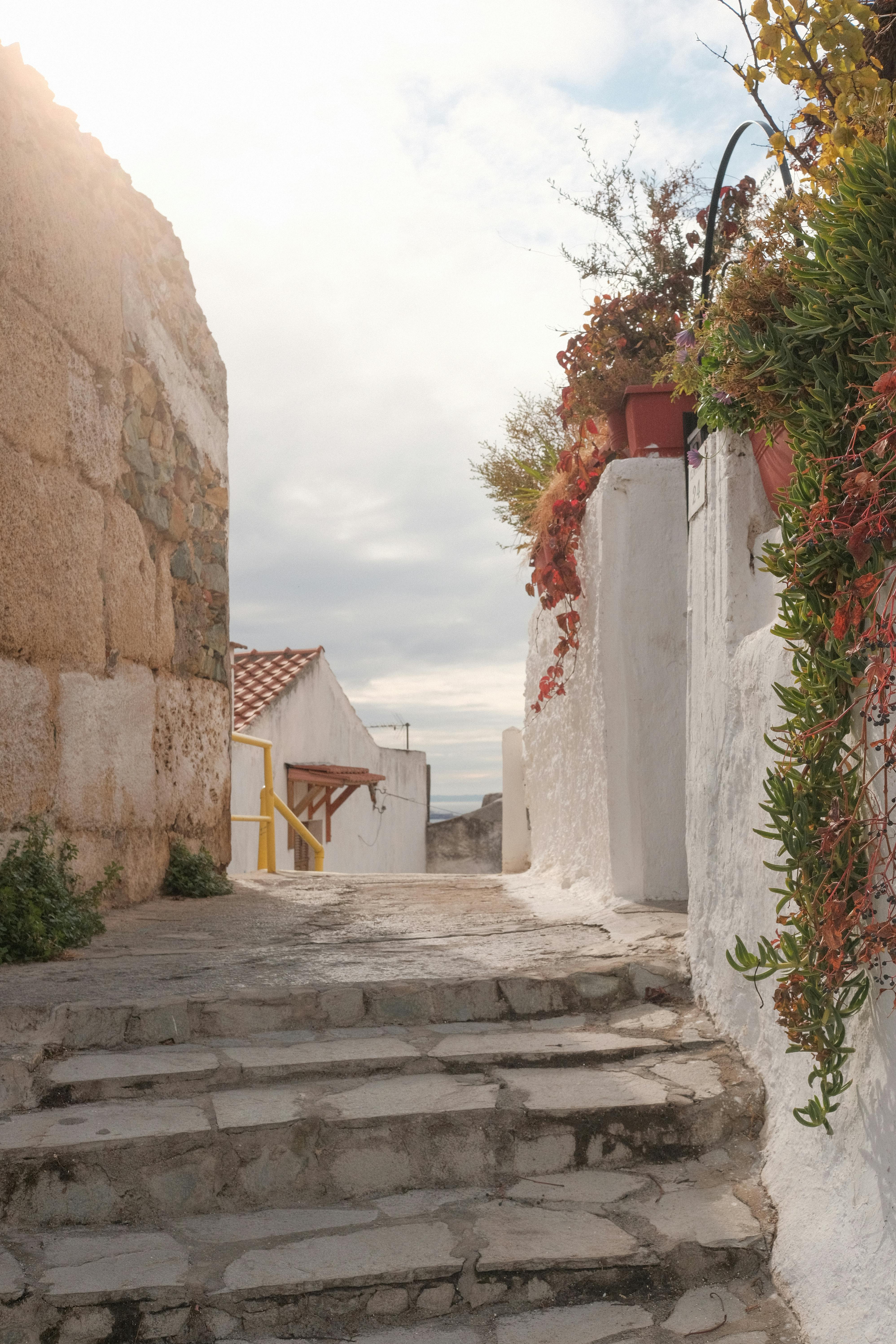 Scenic Greek Pathway in Thessaloniki · Free Stock Photo