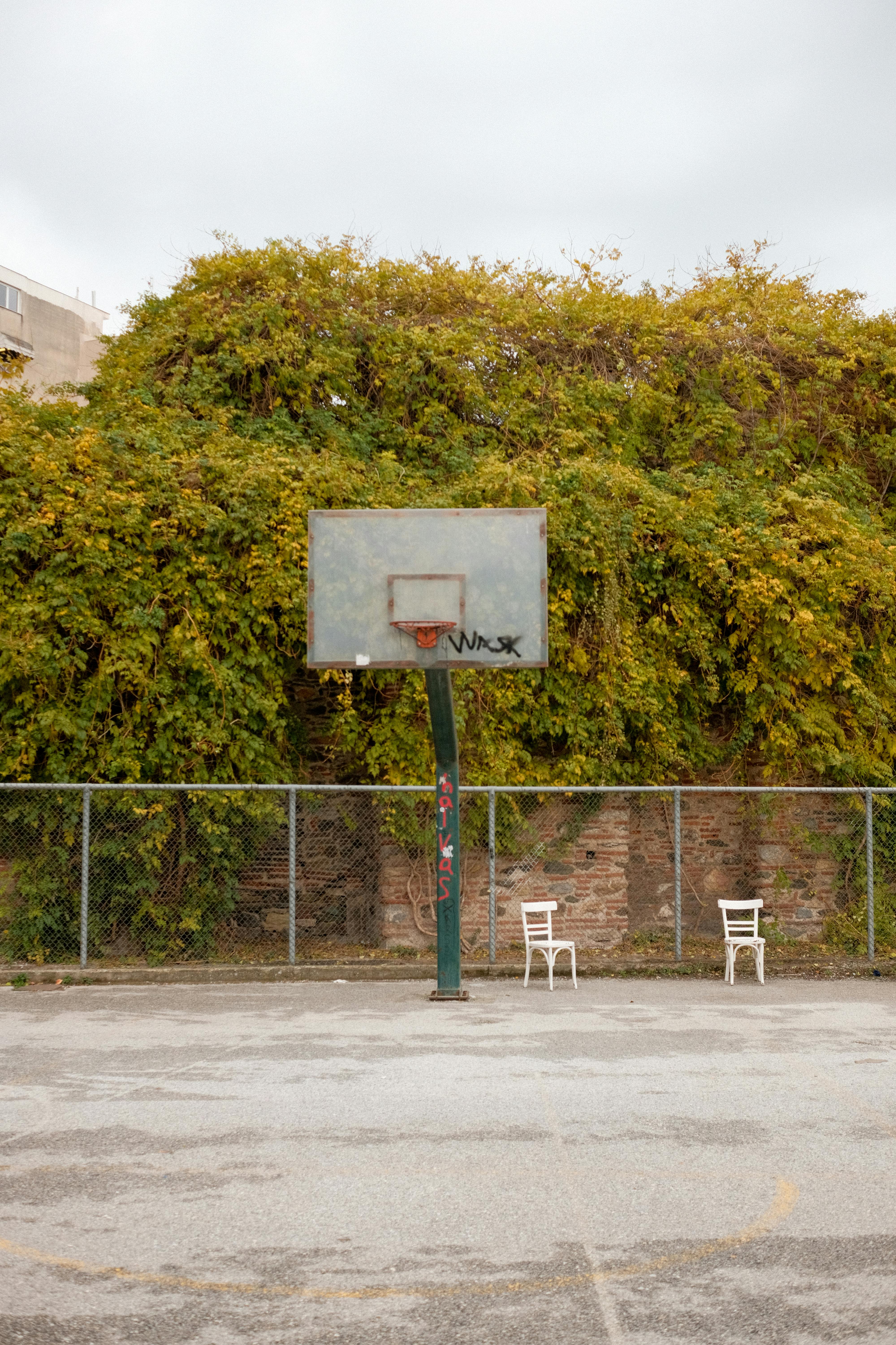 Abandoned Basketball Court in Urban Setting · Free Stock Photo