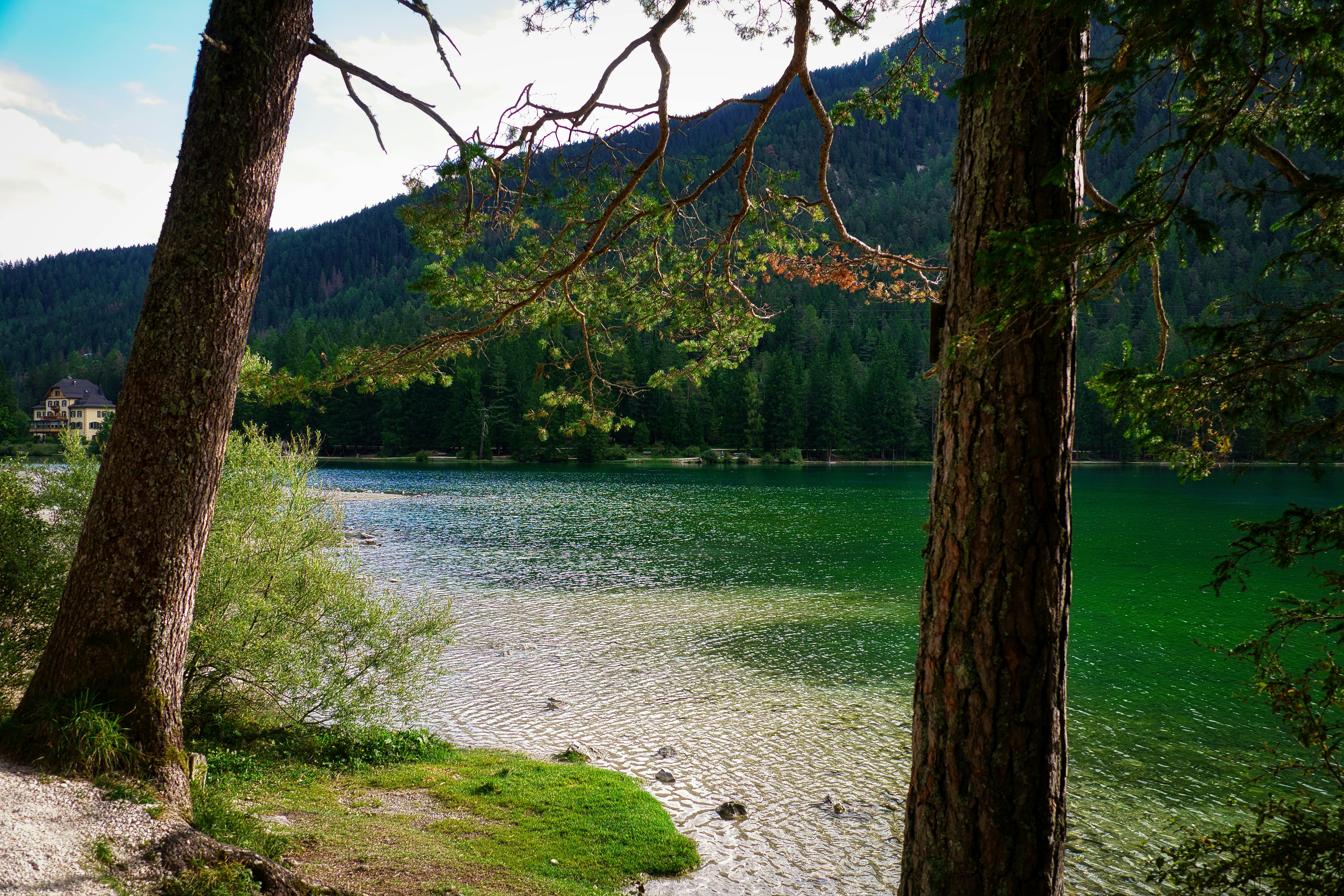 Lush Lakeside Scenery at Toblach, Trentino · Free Stock Photo