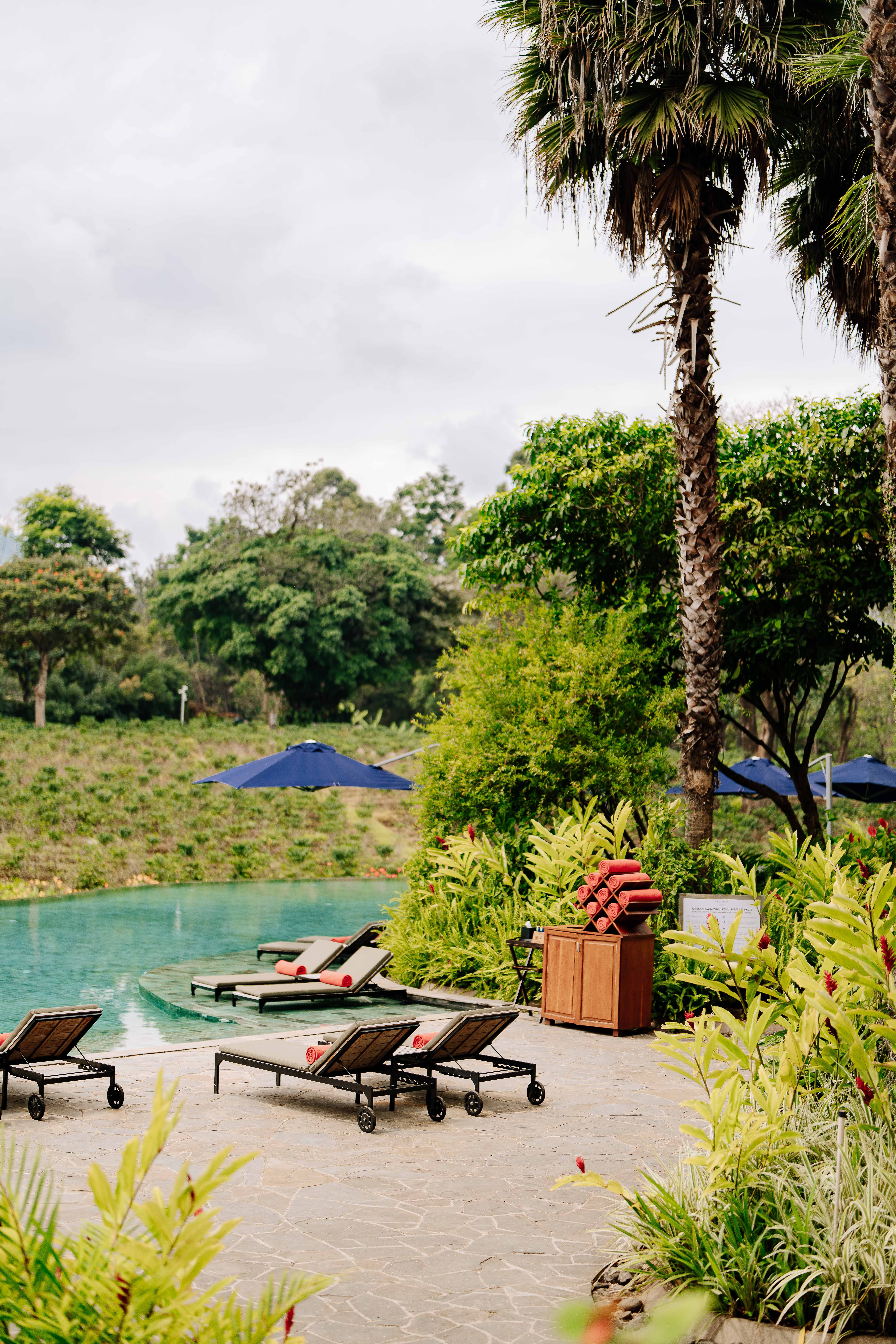 Tropical Resort Poolside with Lush Landscaping in Tanzania · Free Stock ...