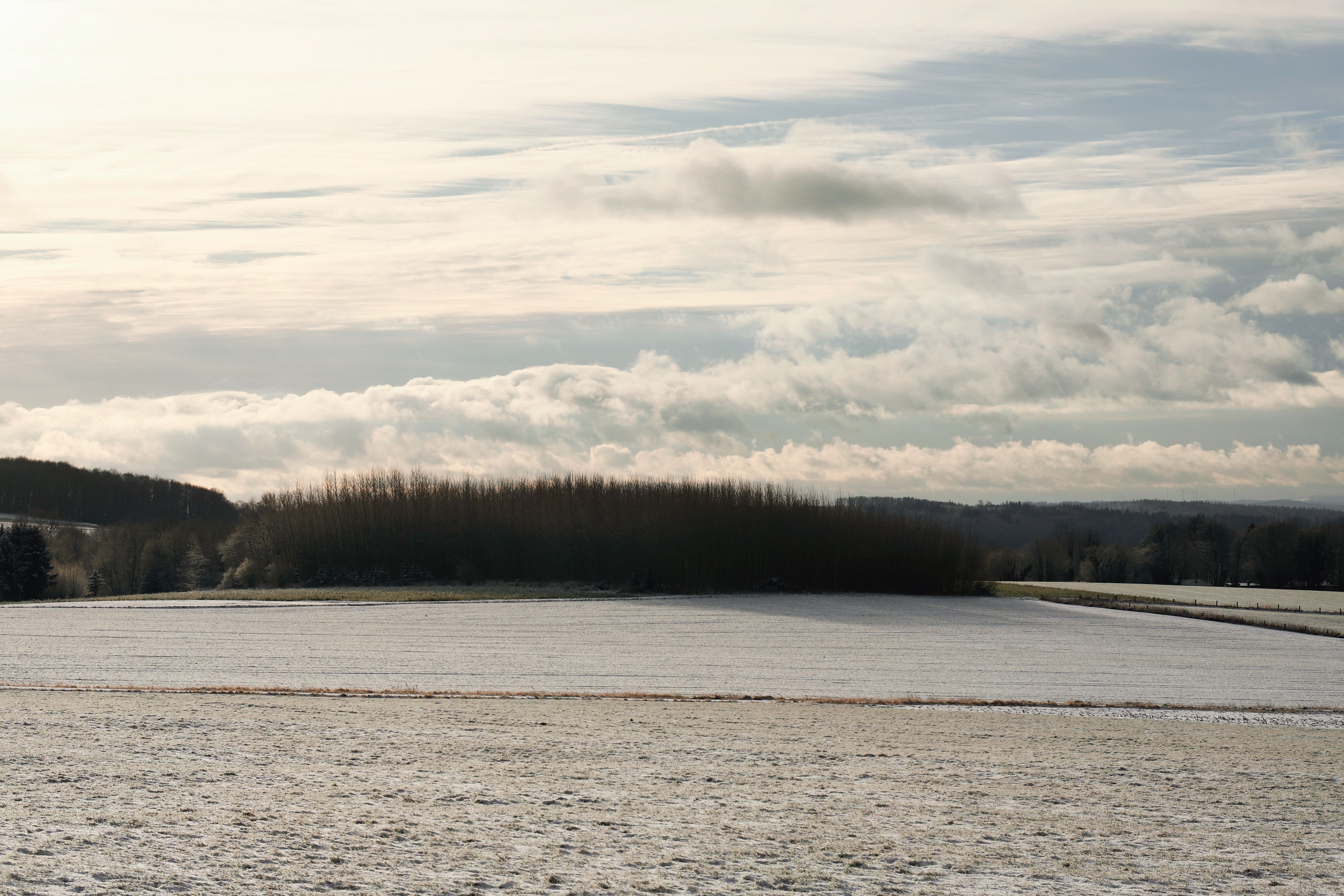 Tranquil Winter Landscape with Snowy Fields · Free Stock Photo