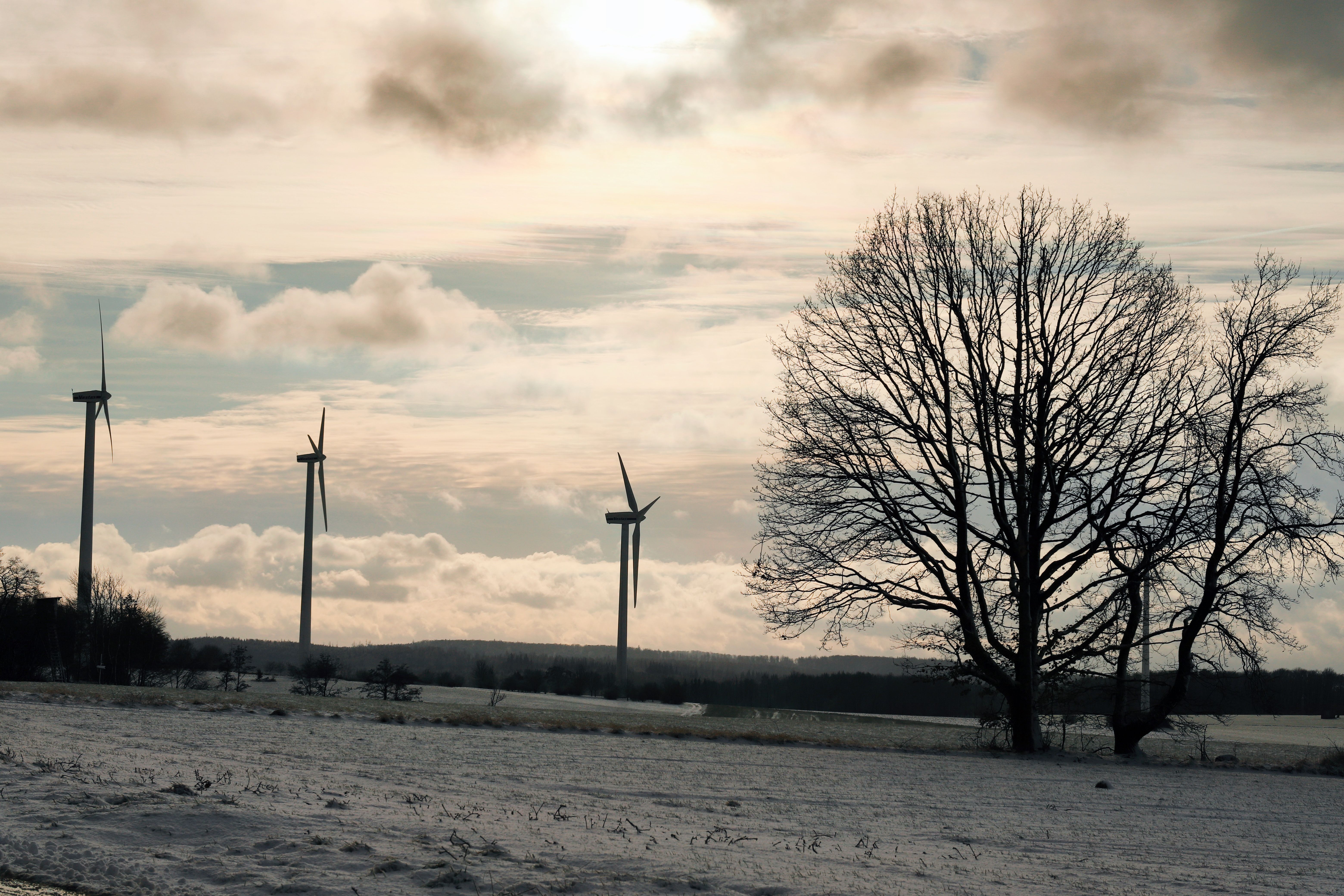 Scenic Winter Landscape with Wind Turbines · Free Stock Photo