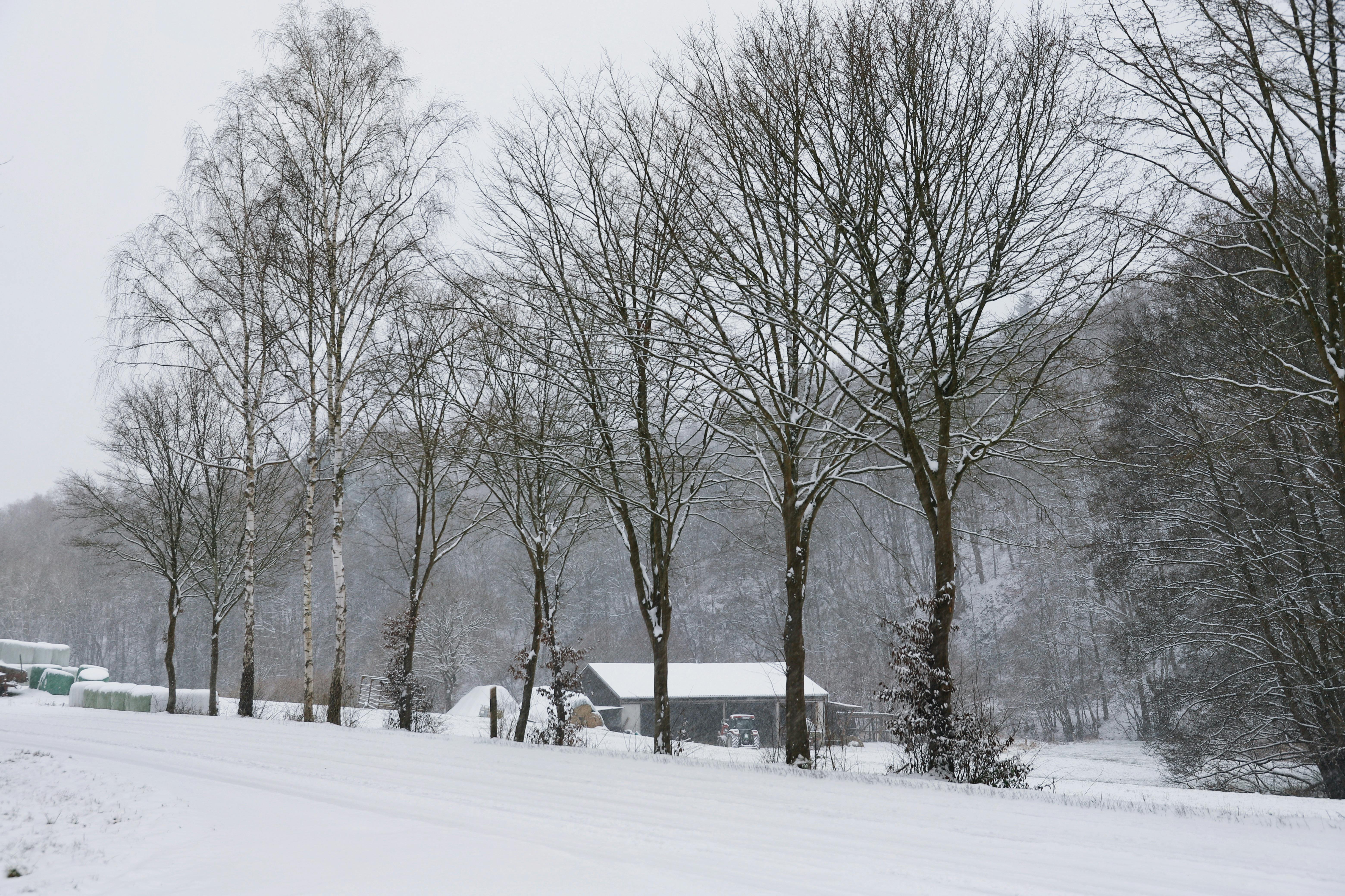 Weather Farm Photos, Download The BEST Free Weather Farm Stock Photos ...