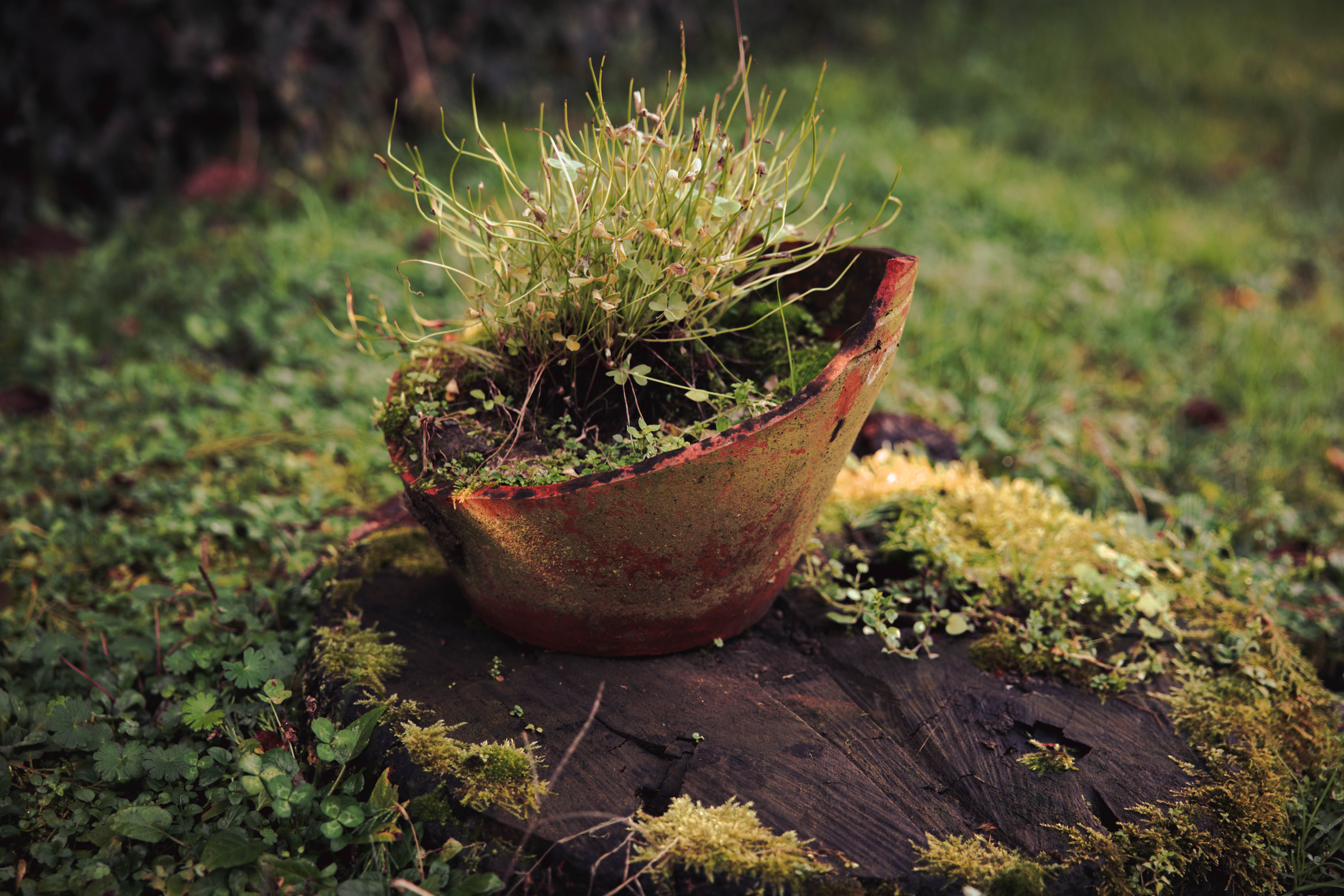 Soil, Photos, Download The BEST Free Soil, Stock Photos & HD Images
