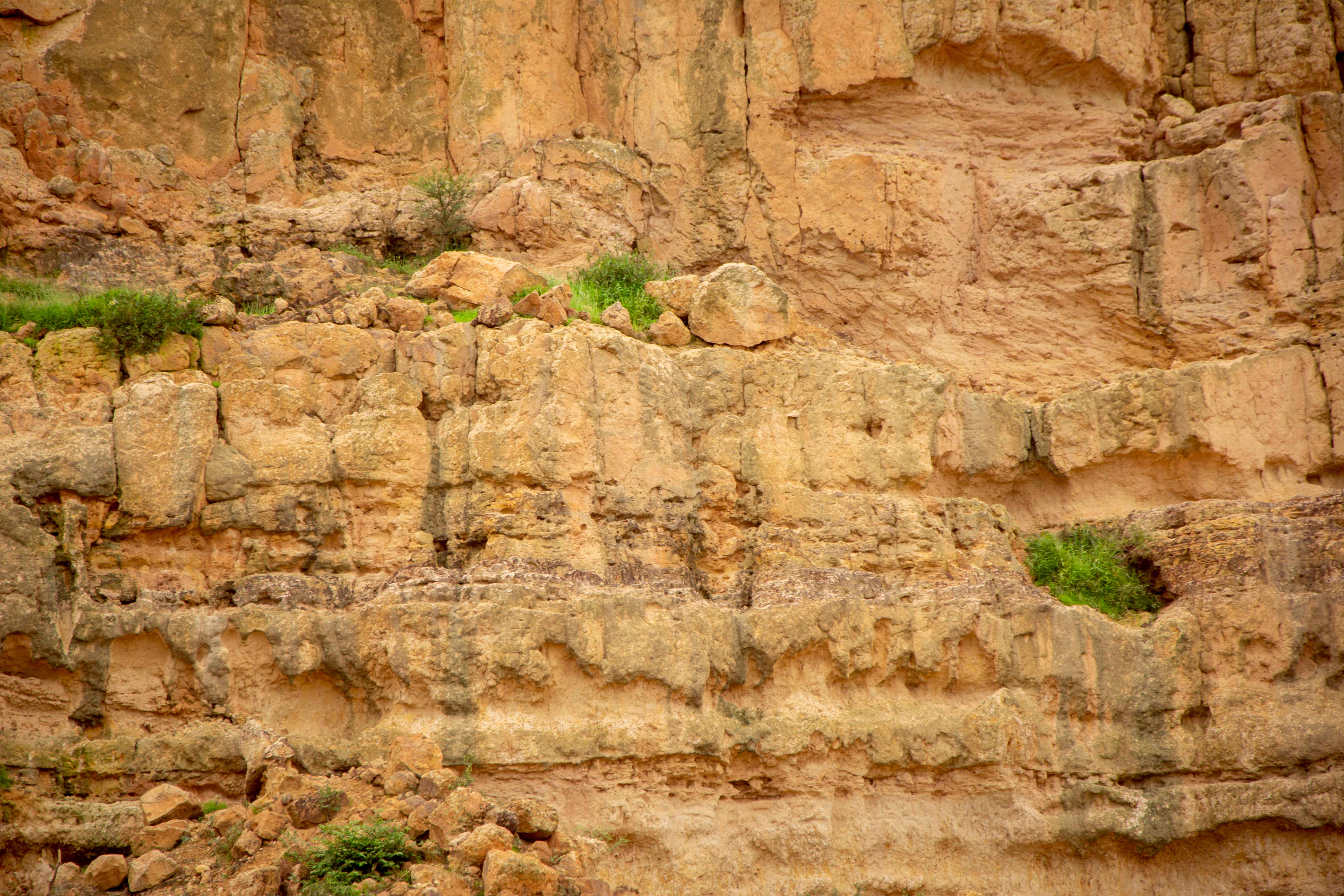 Rugged Sandstone Cliff with Green Vegetation · Free Stock Photo