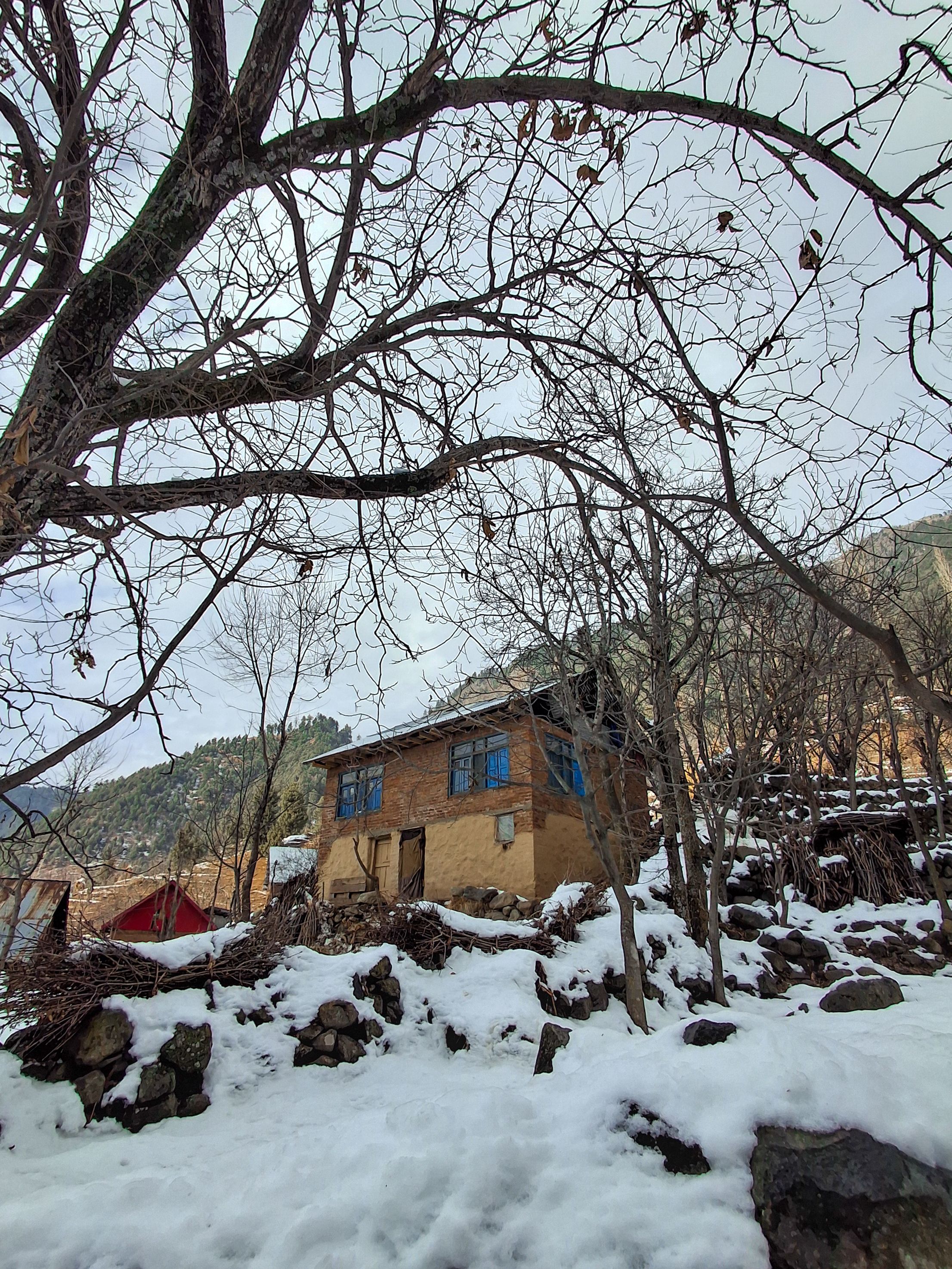 Rustic House in Snowy Winter Forest · Free Stock Photo