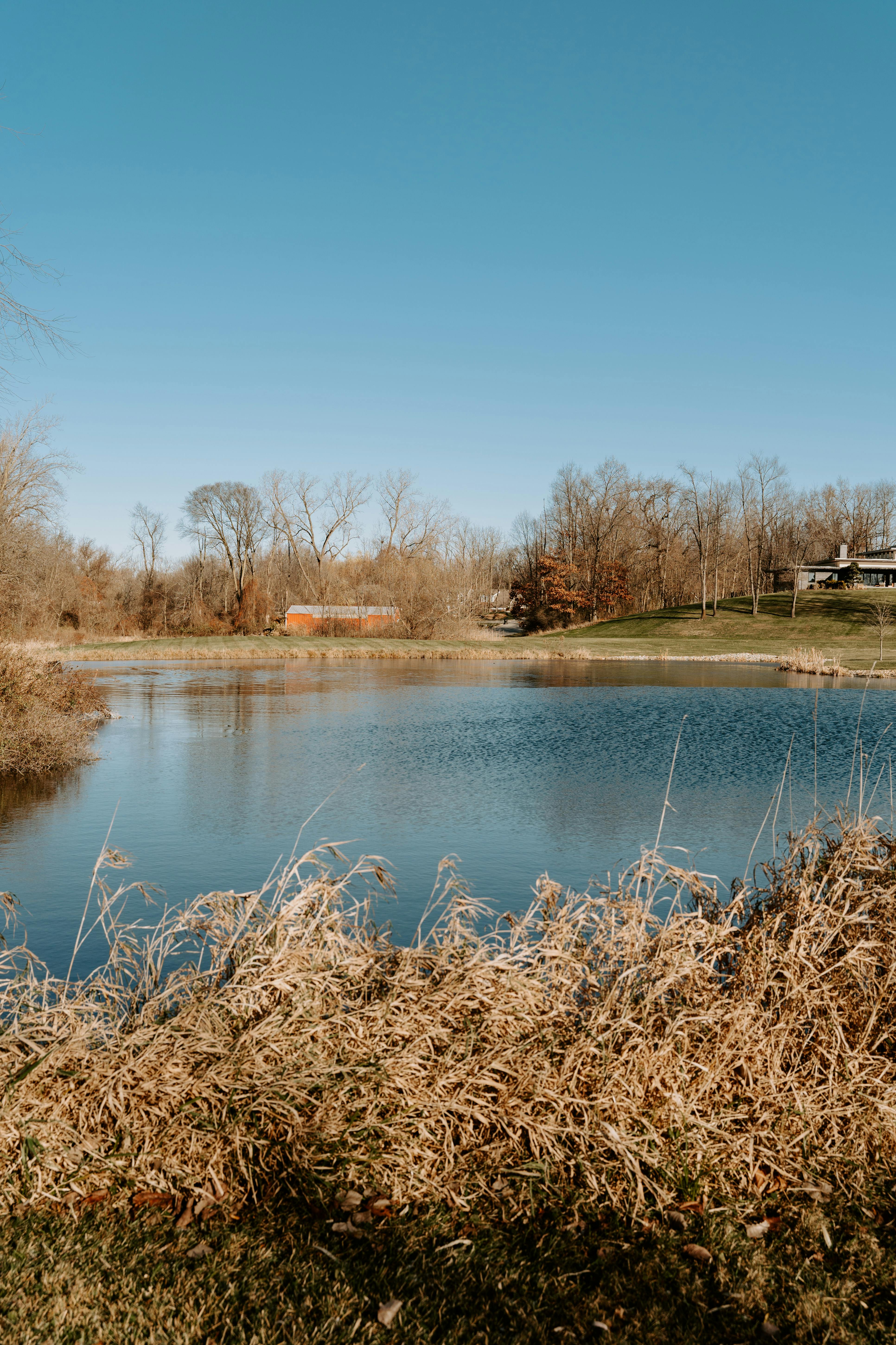 Tranquil Pond in Indiana Countryside Landscape · Free Stock Photo