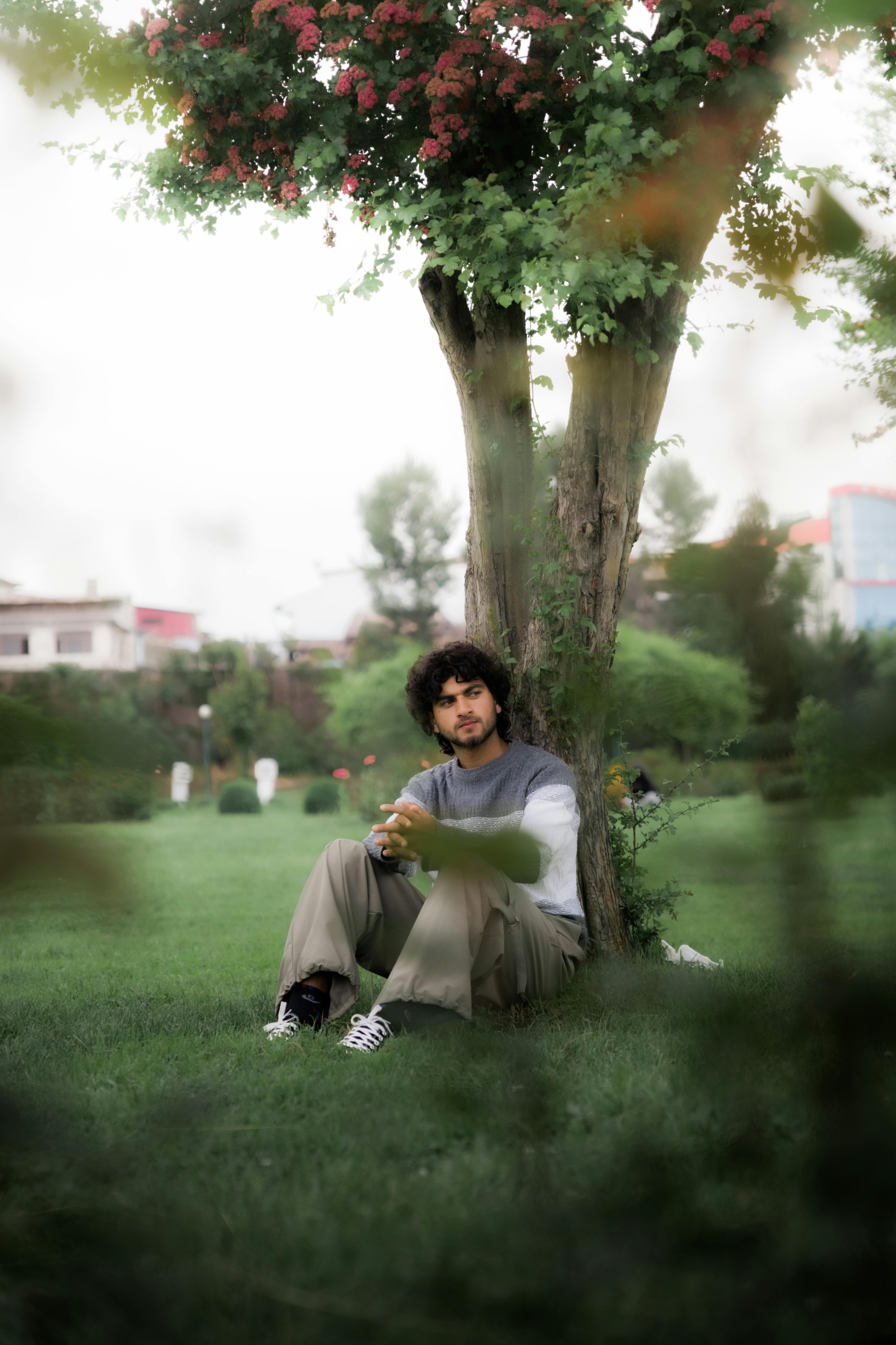 Young Man Relaxing Under Tree in Park · Free Stock Photo
