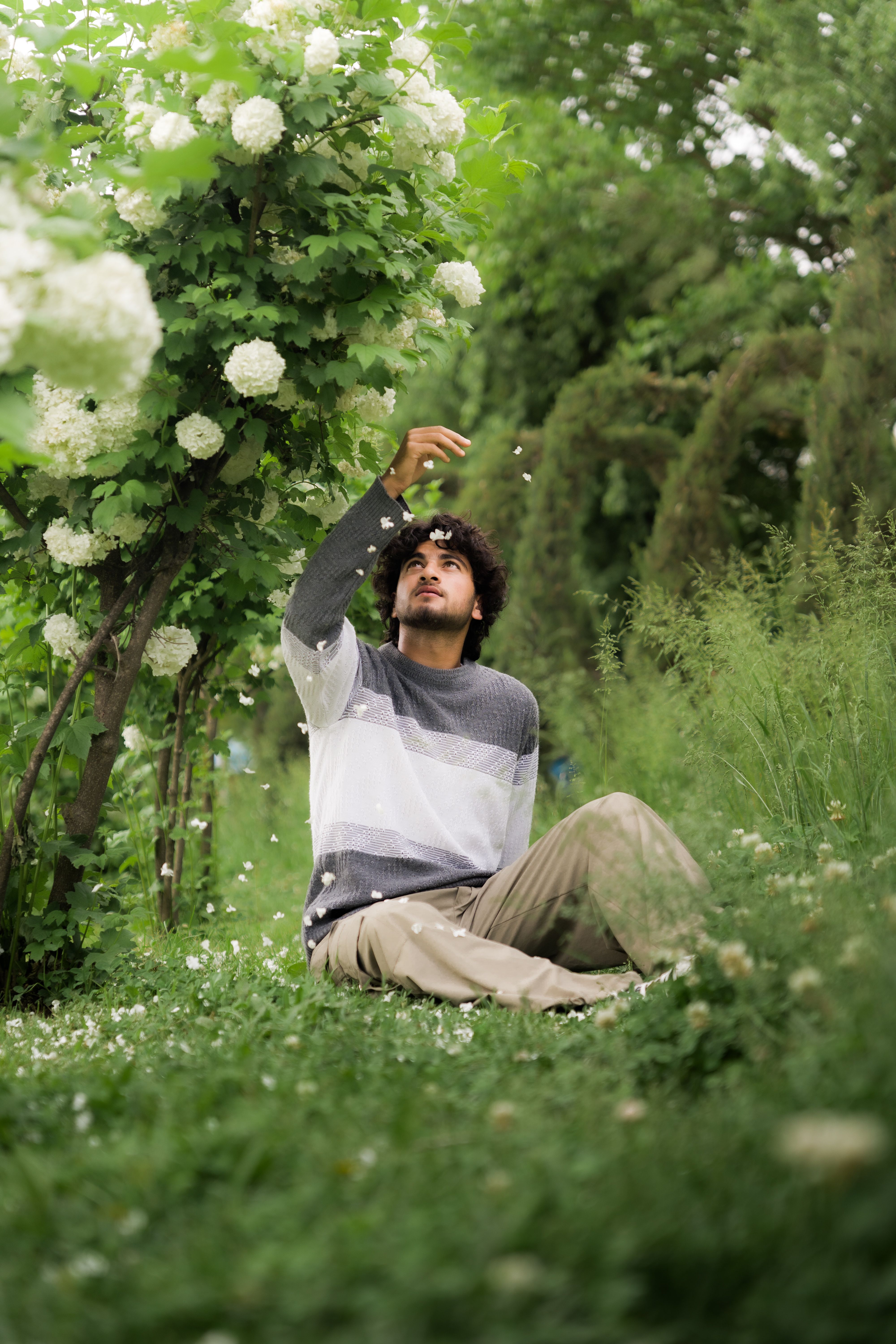 Man Enjoying Nature Among Blooming Flowers · Free Stock Photo