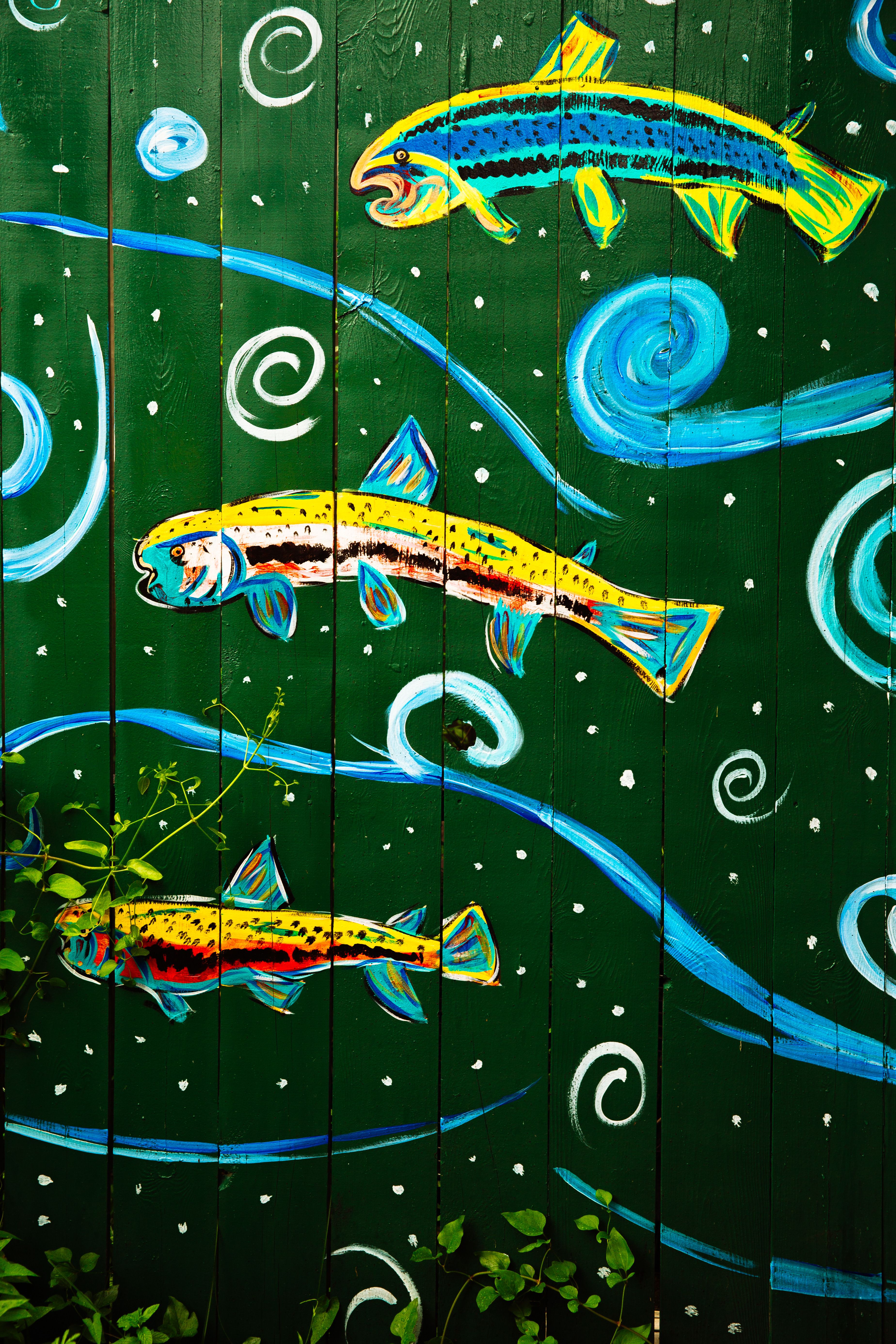 Vibrant Fish Mural on Green Background · Free Stock Photo