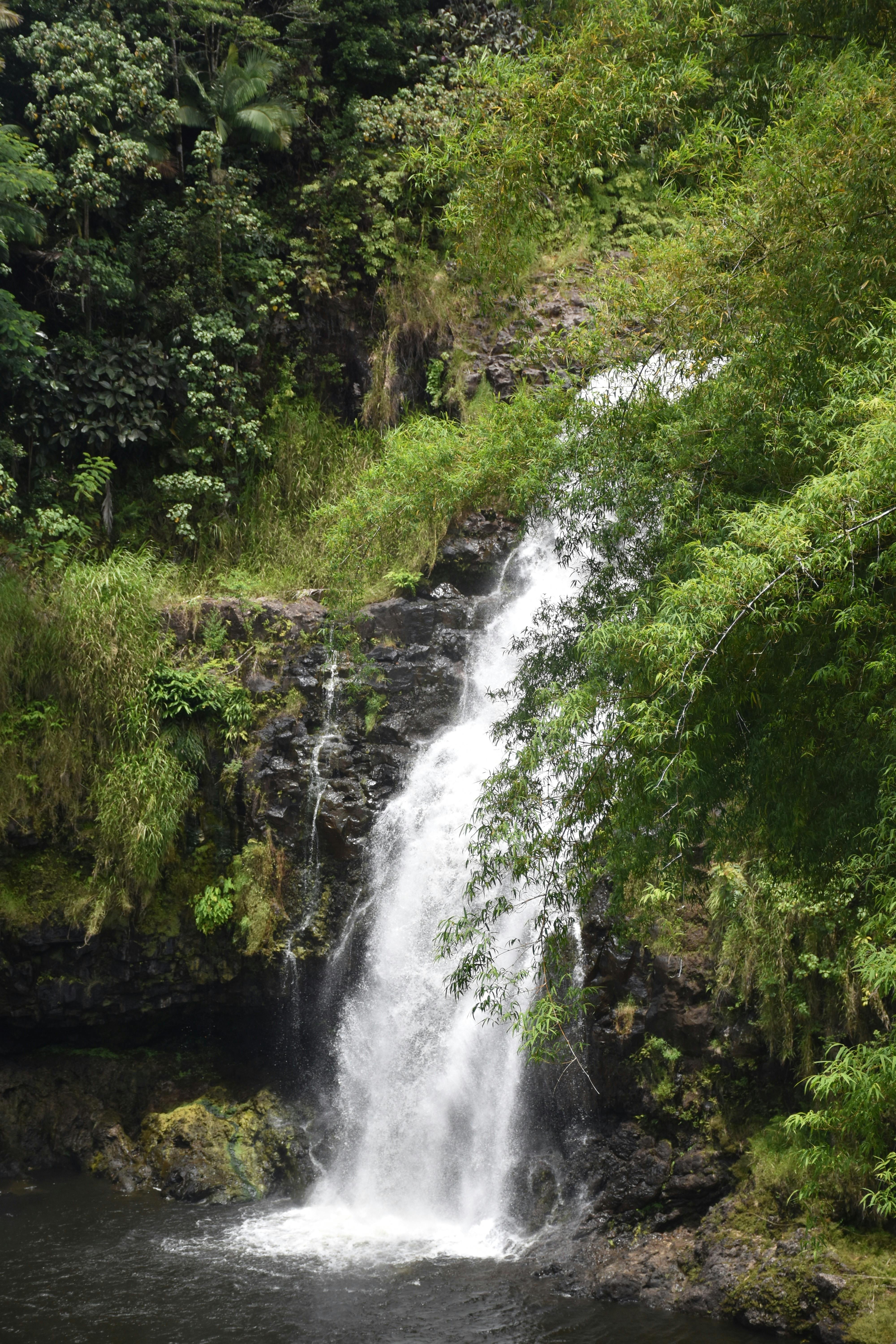 Photography Dslr Photos, Download The BEST Free Photography Dslr Stock ...