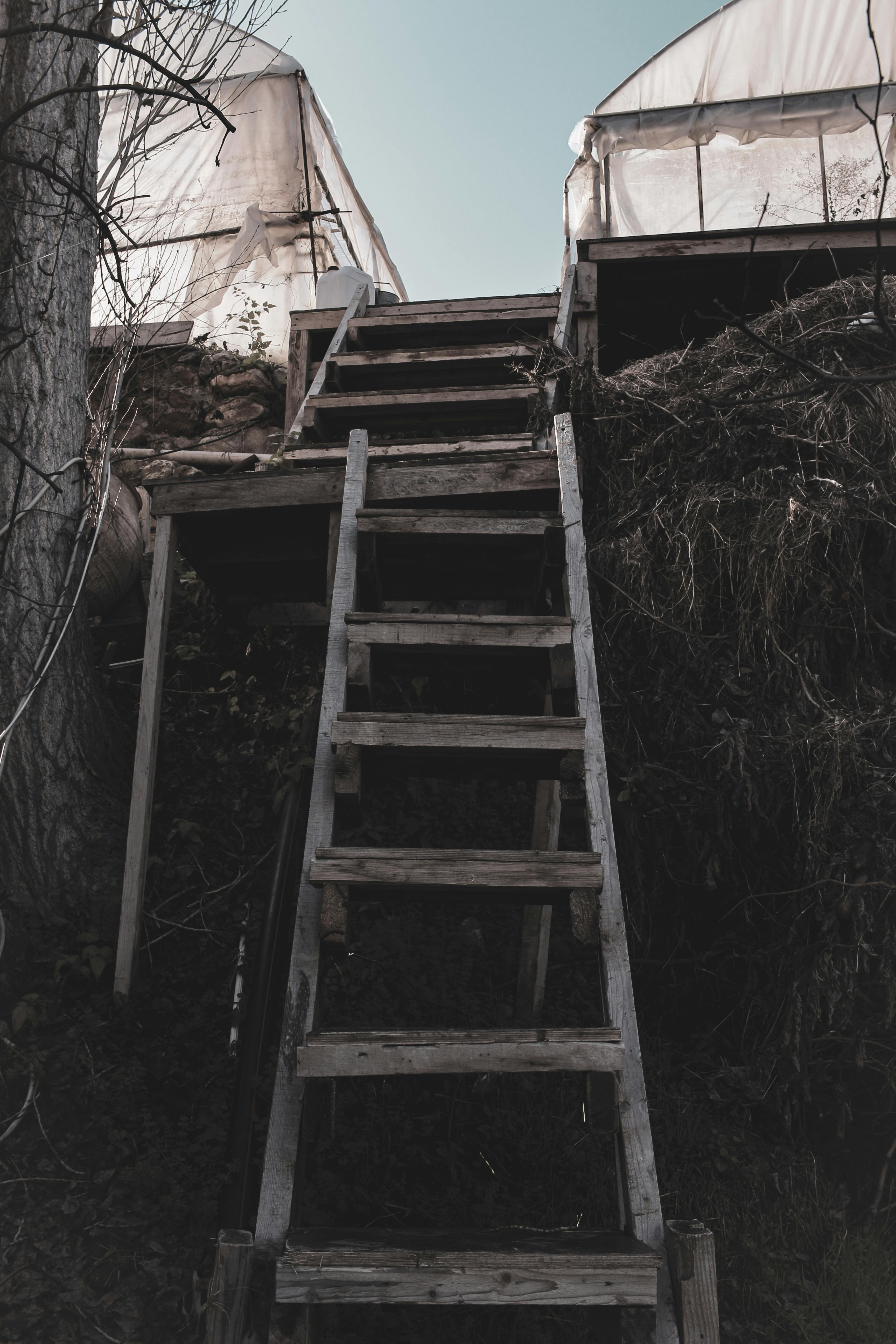 Rustic Camping Photos, Download The BEST Free Rustic Camping Stock ...