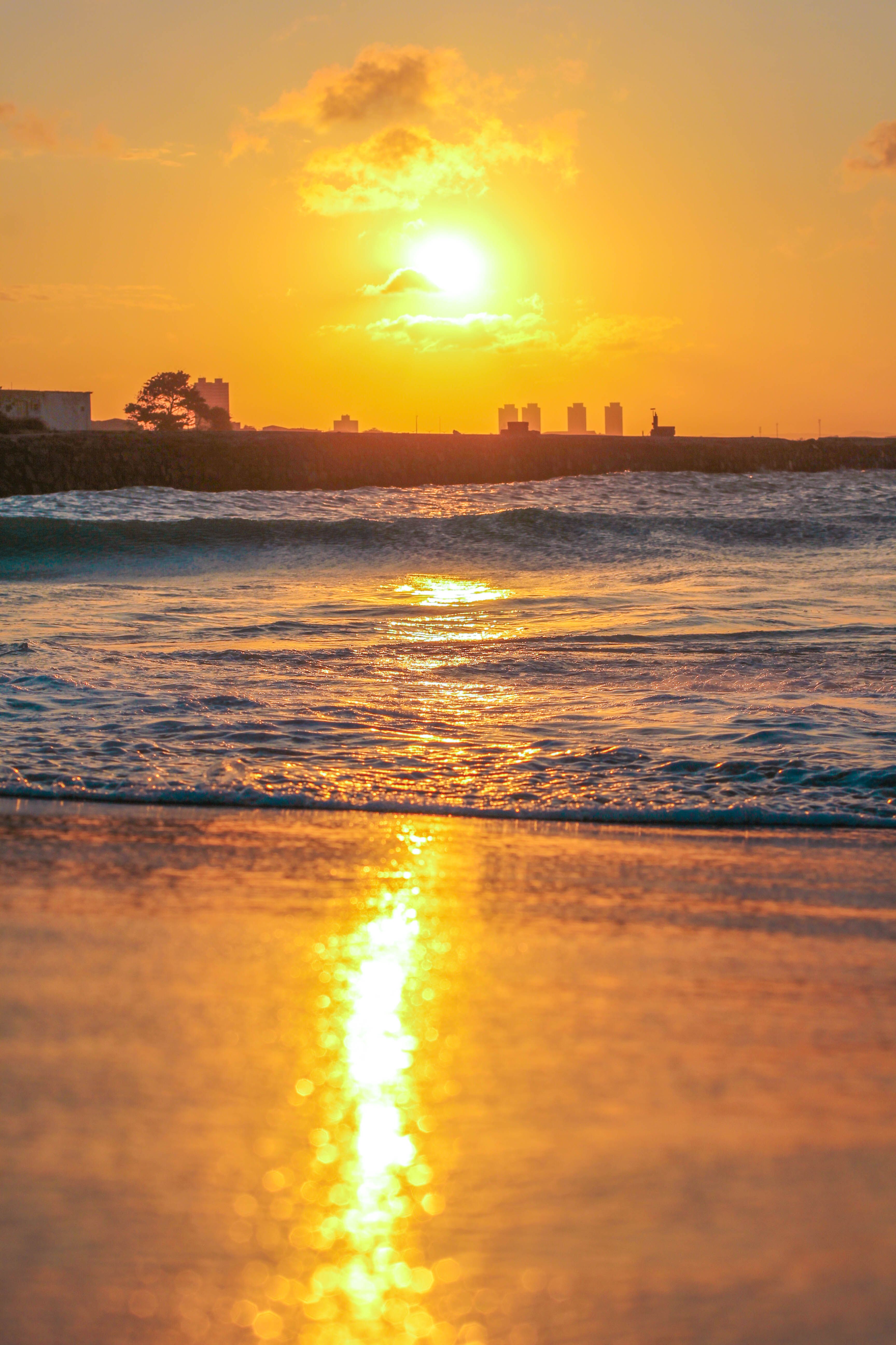 Beautiful Golden Sunset over Calm Ocean Horizon · Free Stock Photo