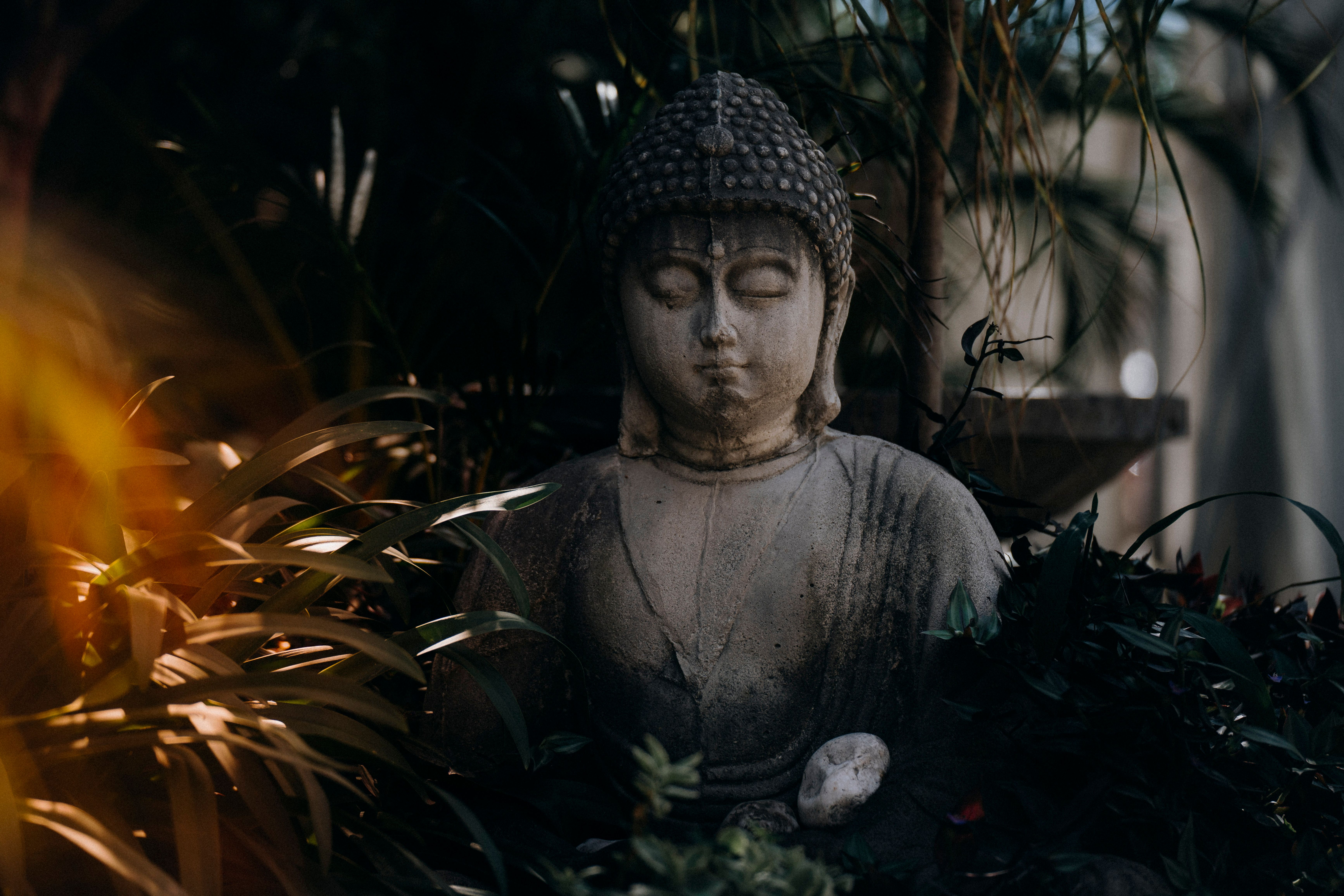 Load Buddha Landscape Photos, Download The BEST Free Load Buddha ...