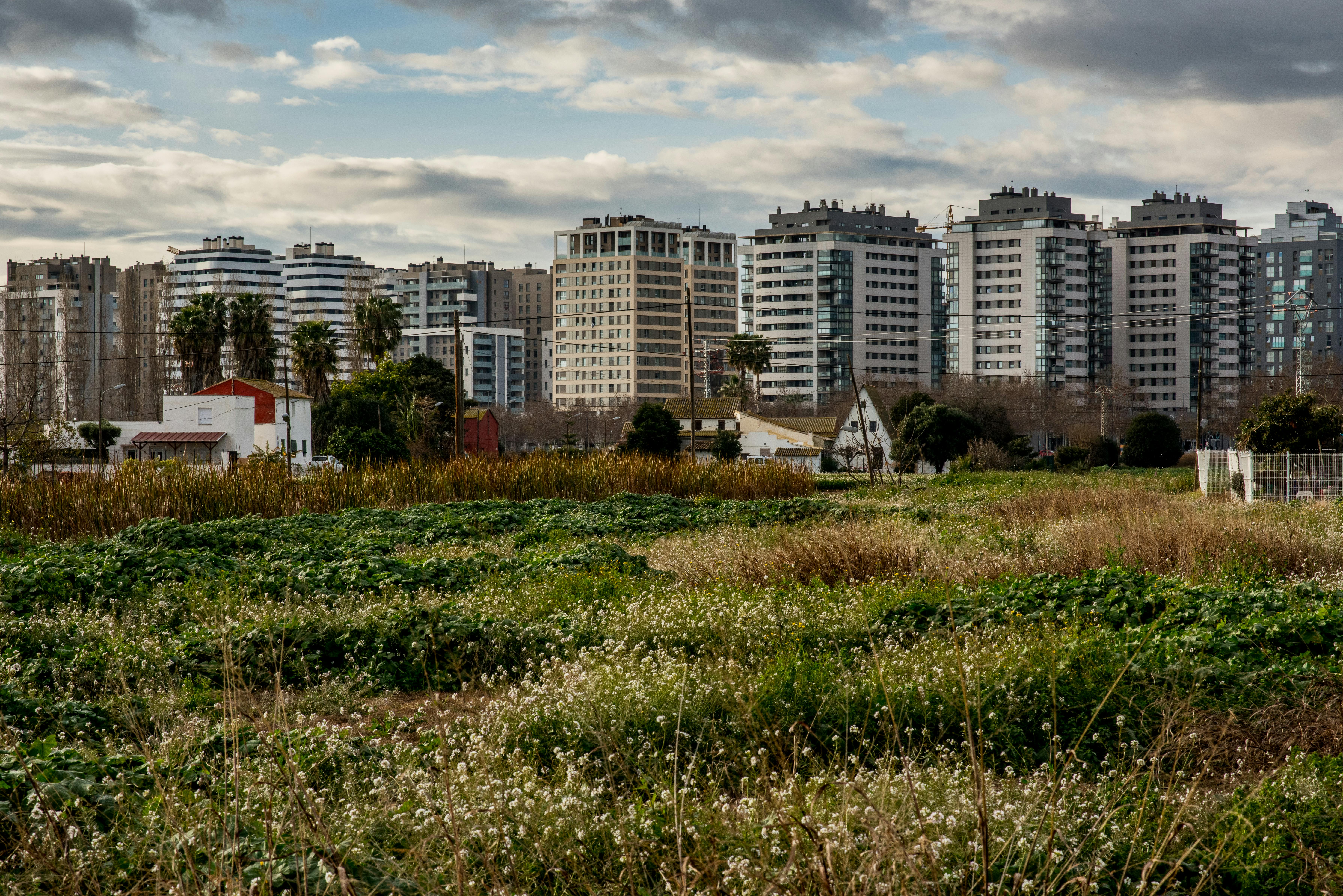 Urbanization Photos, Download The BEST Free Urbanization Stock Photos ...