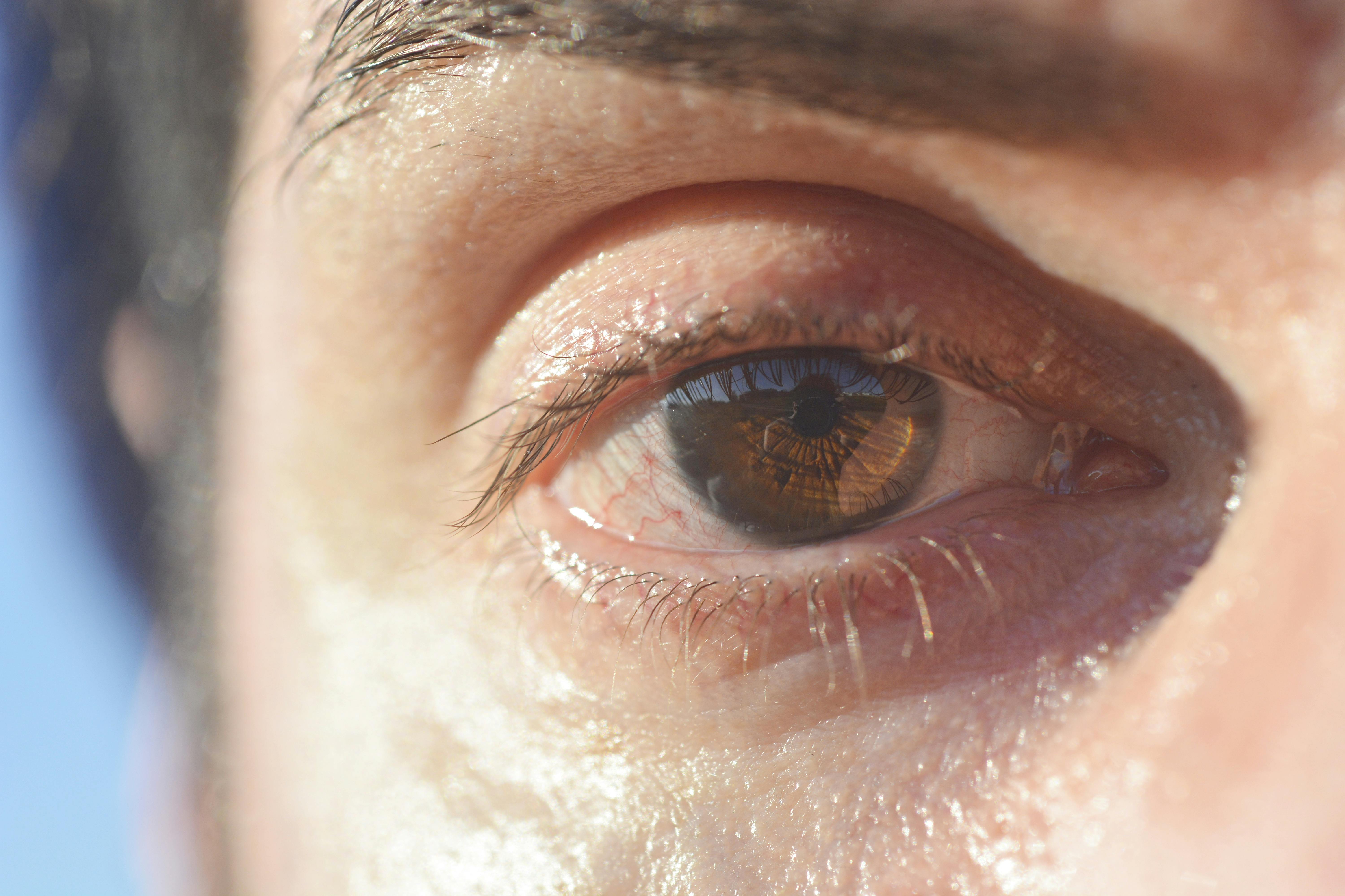 Close-up of a Human Eye with Reflection · Free Stock Photo