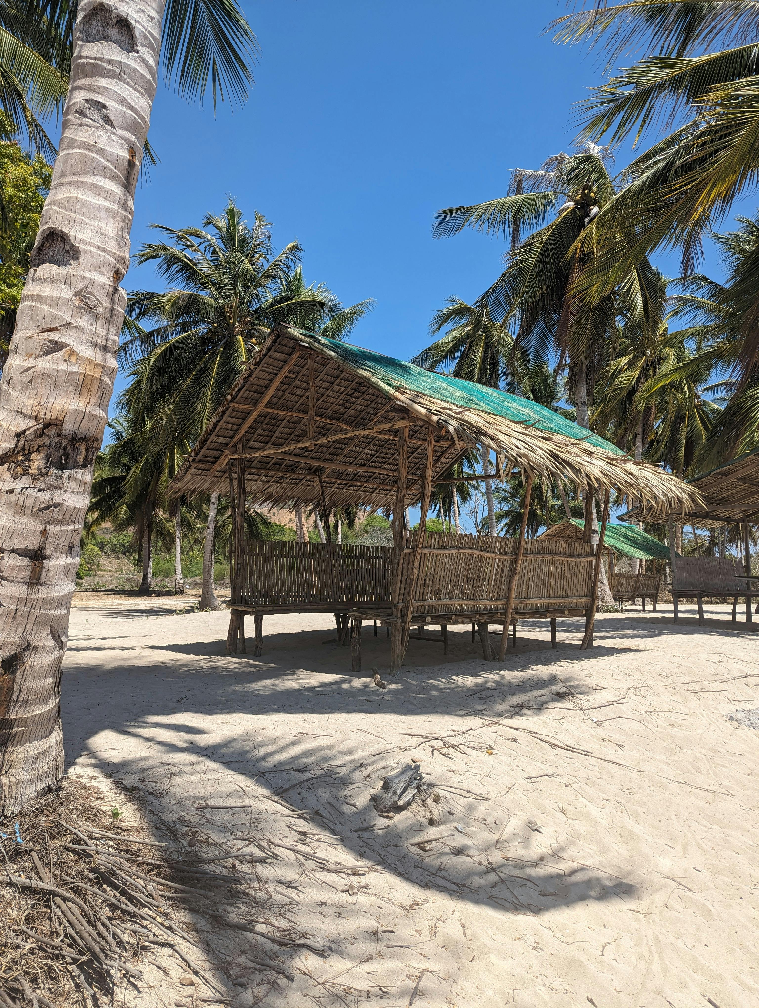 Tropical Beachside Hut under Palm Trees · Free Stock Photo