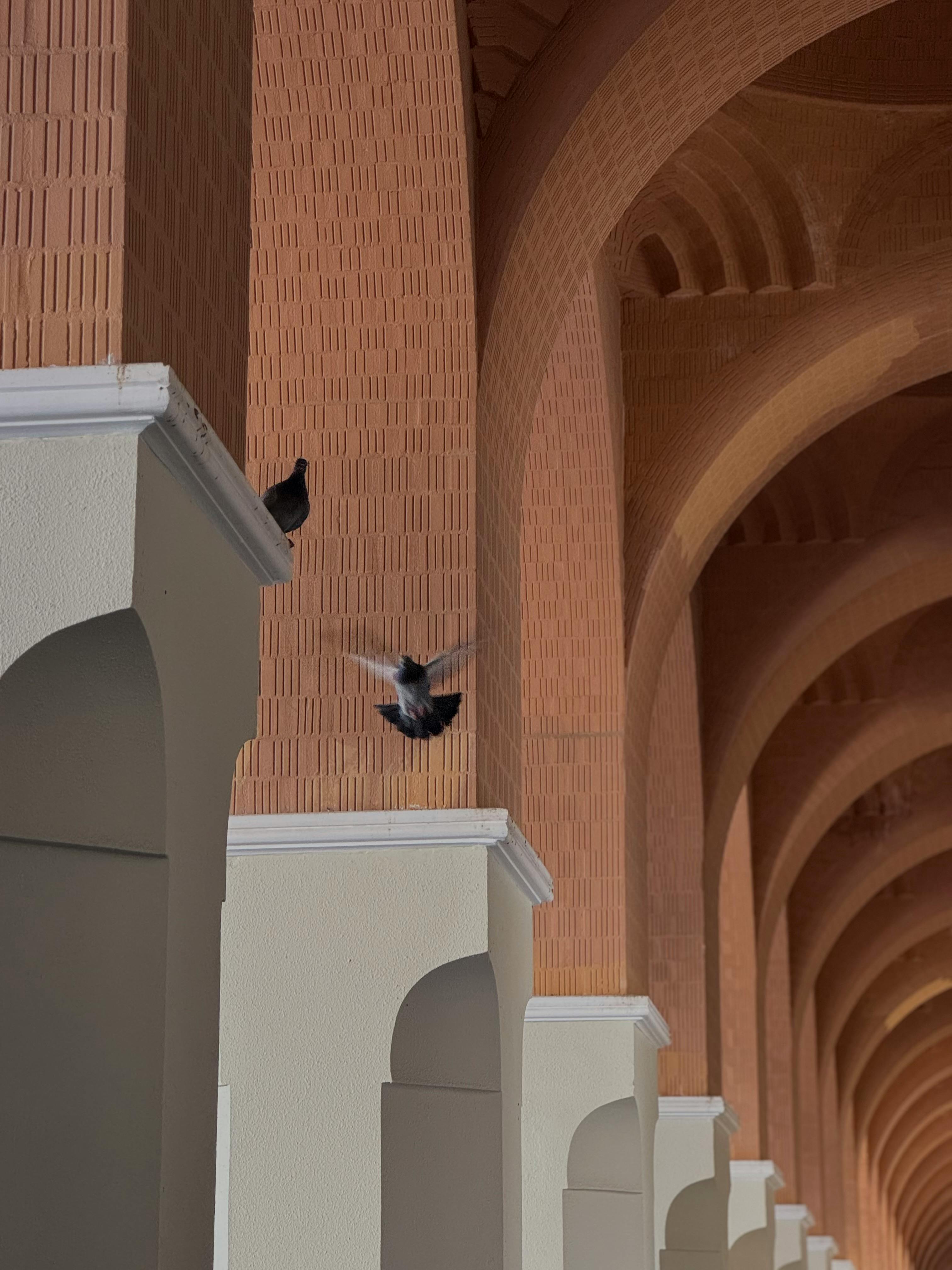 Isizulu Patterns Photos, Download The BEST Free Isizulu Patterns Stock ...