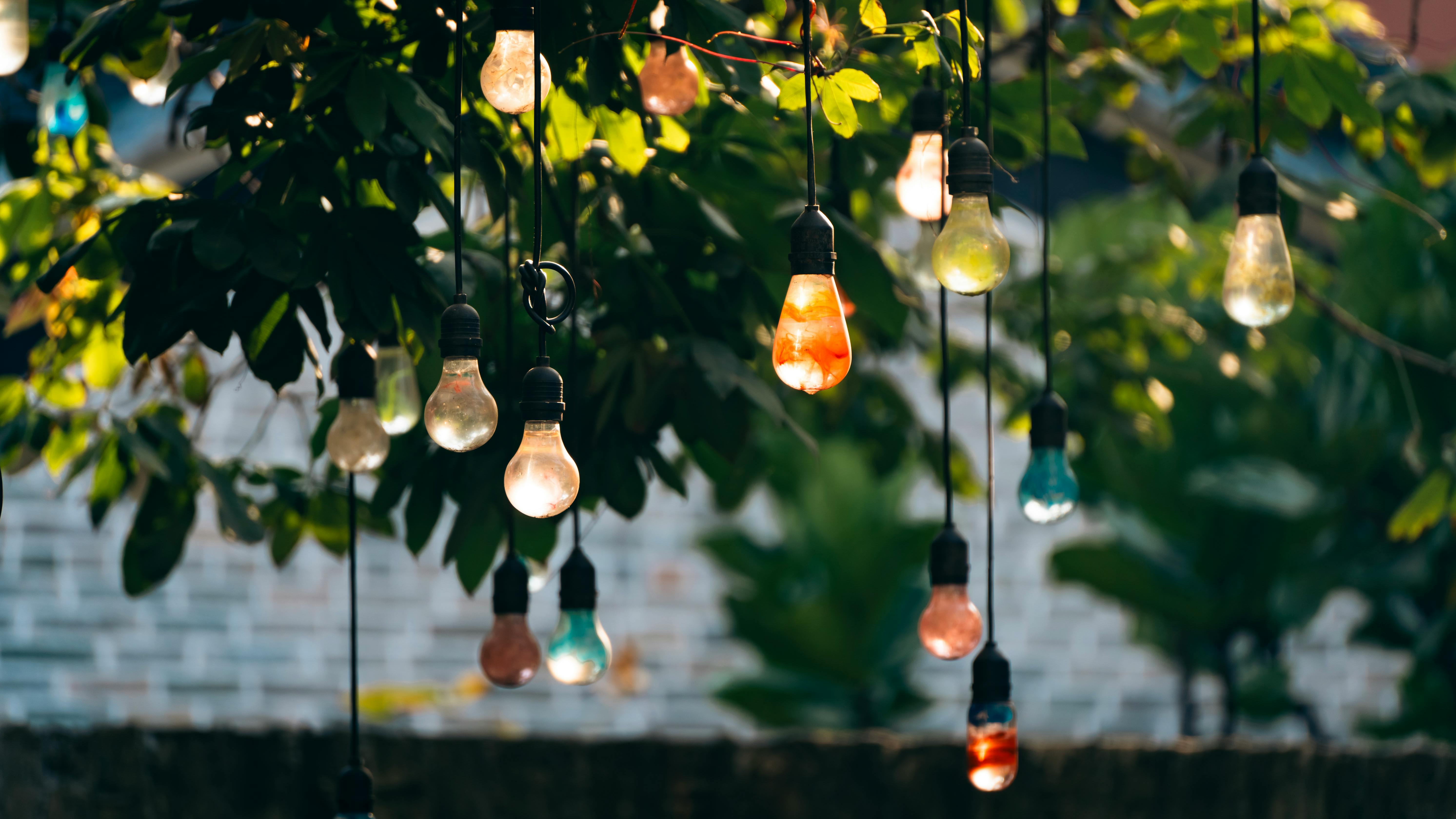Colorful Hanging Bulbs in a Lush Garden Setting · Free Stock Photo