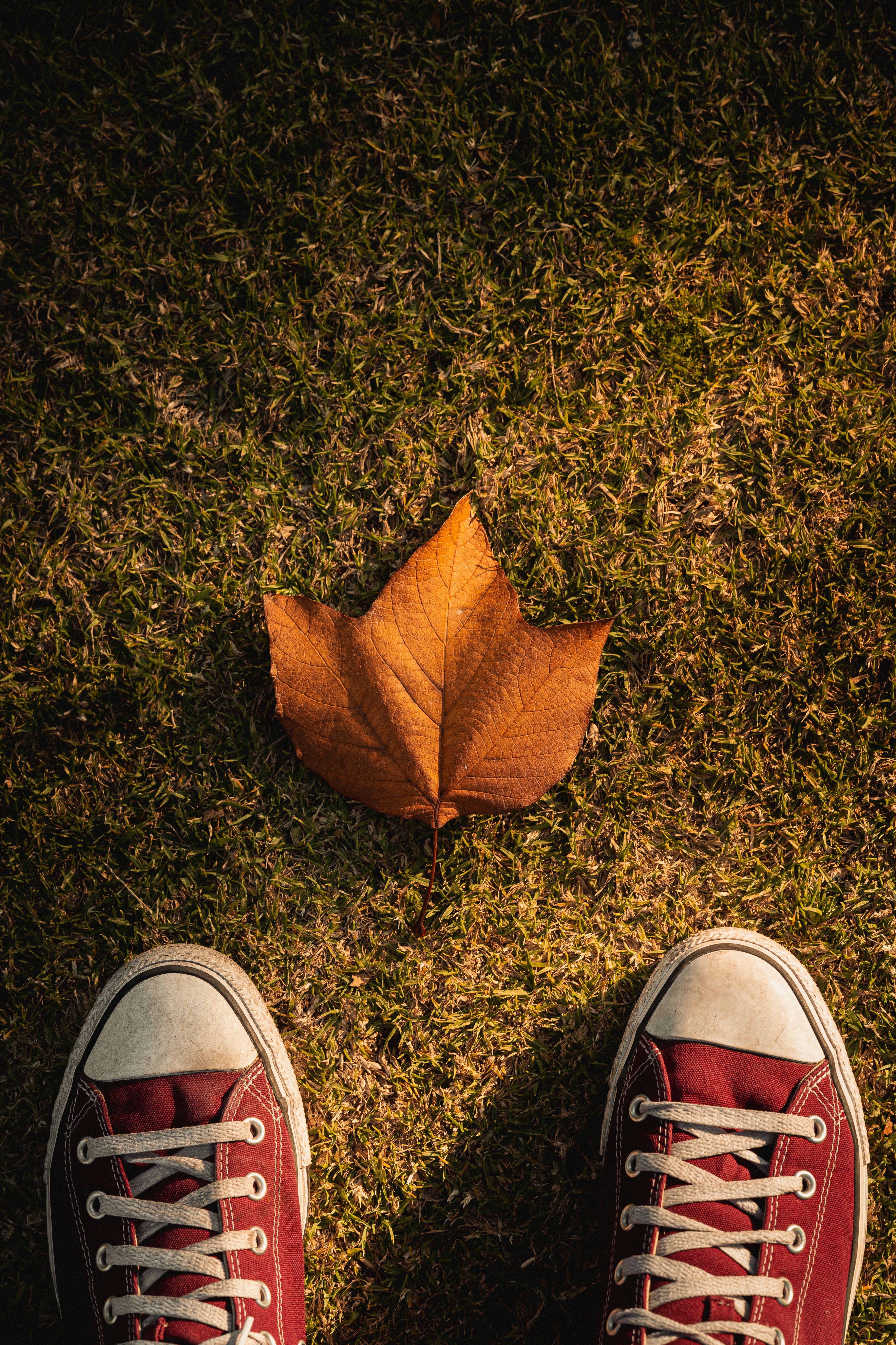 Autumn Leaf on Grass with Sneakers Perspective · Free Stock Photo