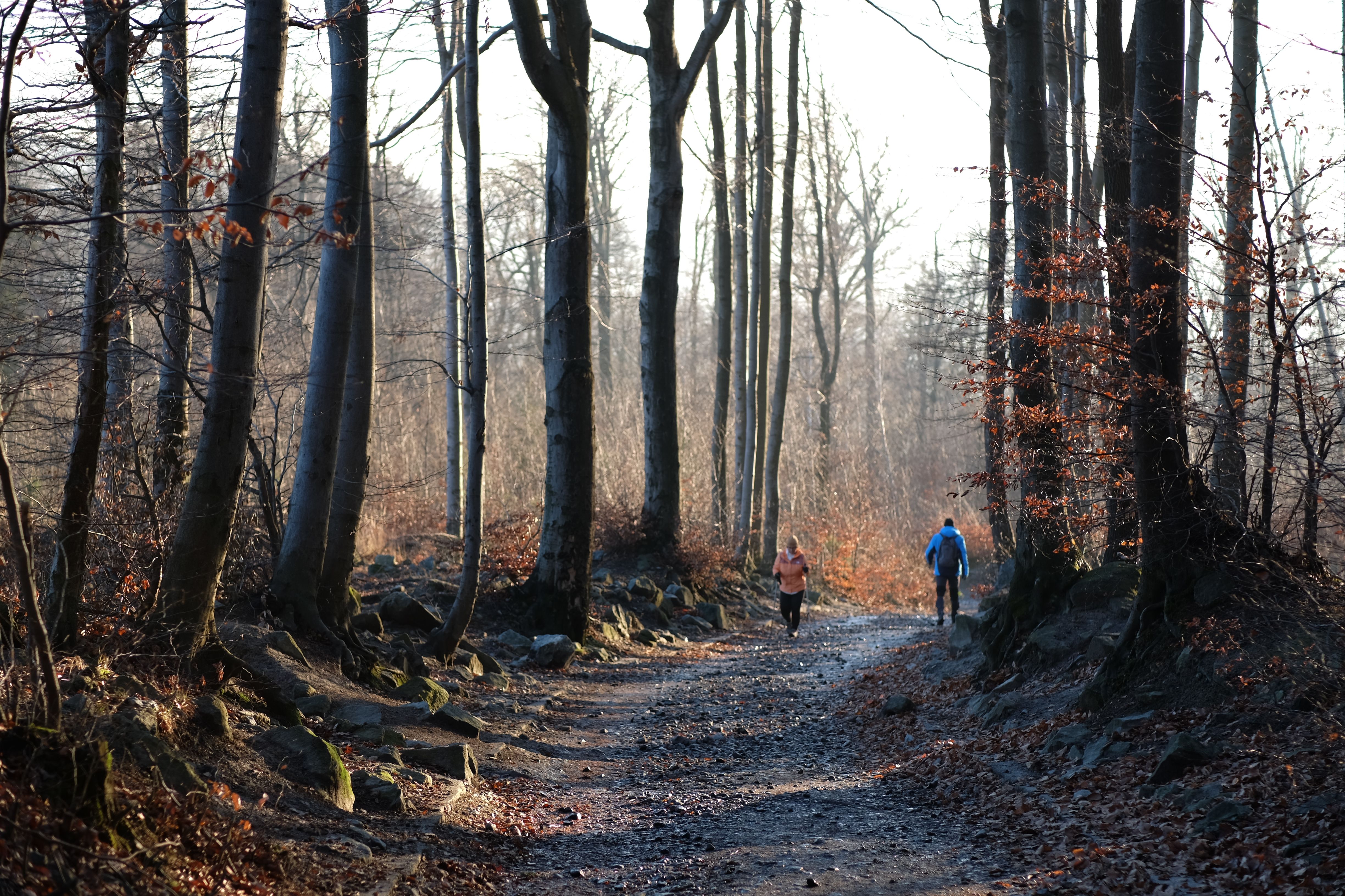 A Person Jogging Outdoors Photos, Download The BEST Free A Person ...