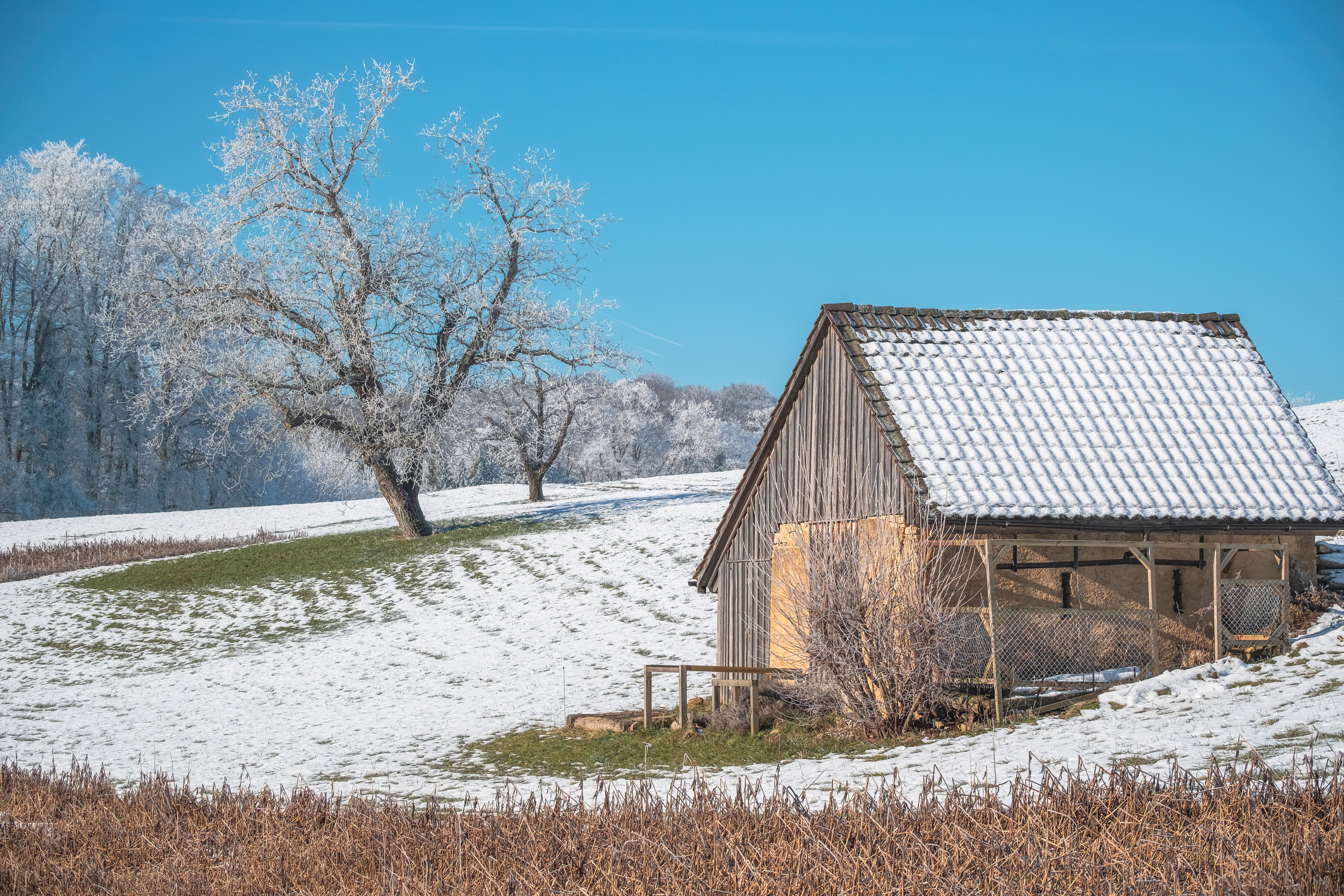 Winter Landscape with Snow-Covered Barn · Free Stock Photo