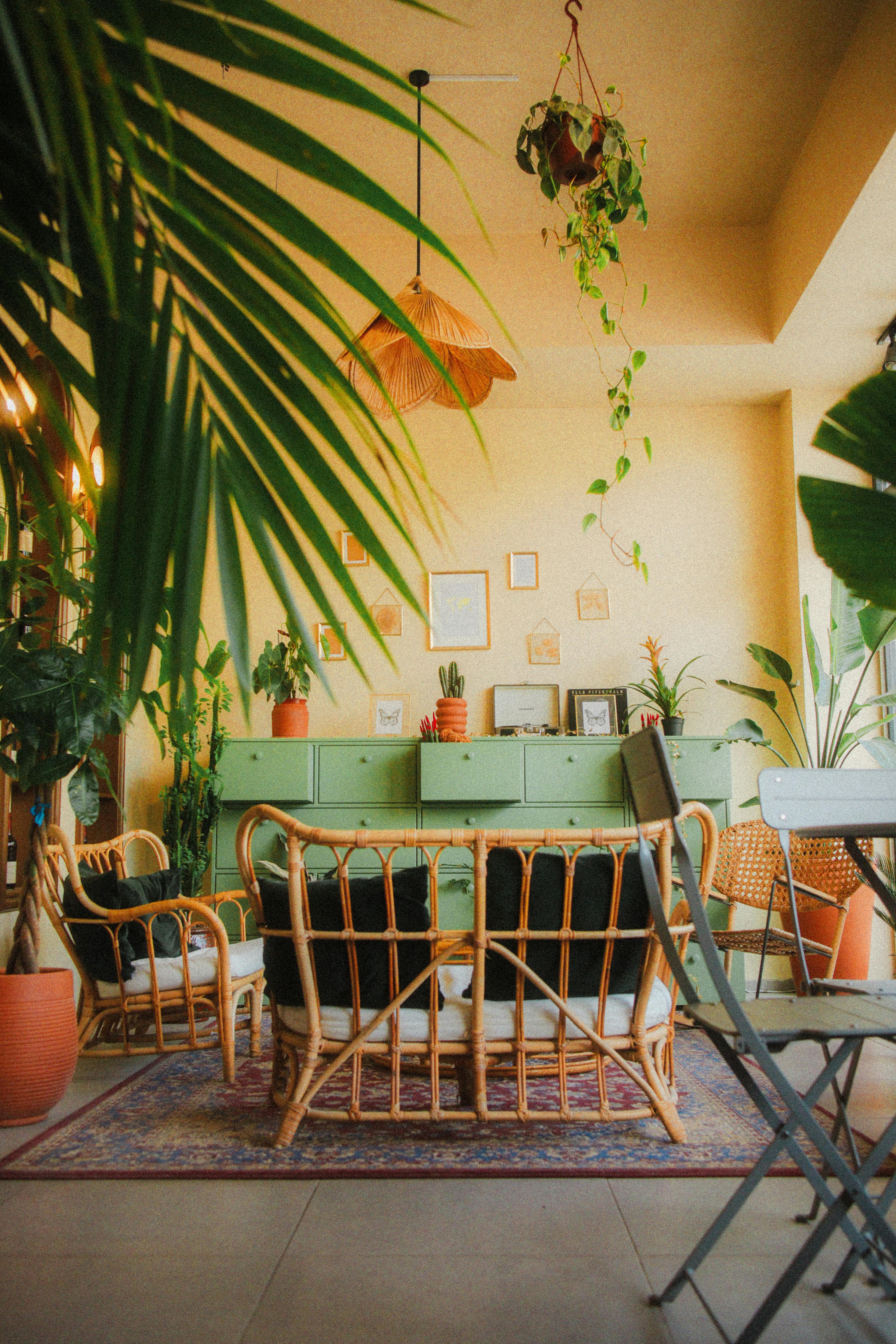 Cozy Botanical Cafe Interior in Yalova · Free Stock Photo