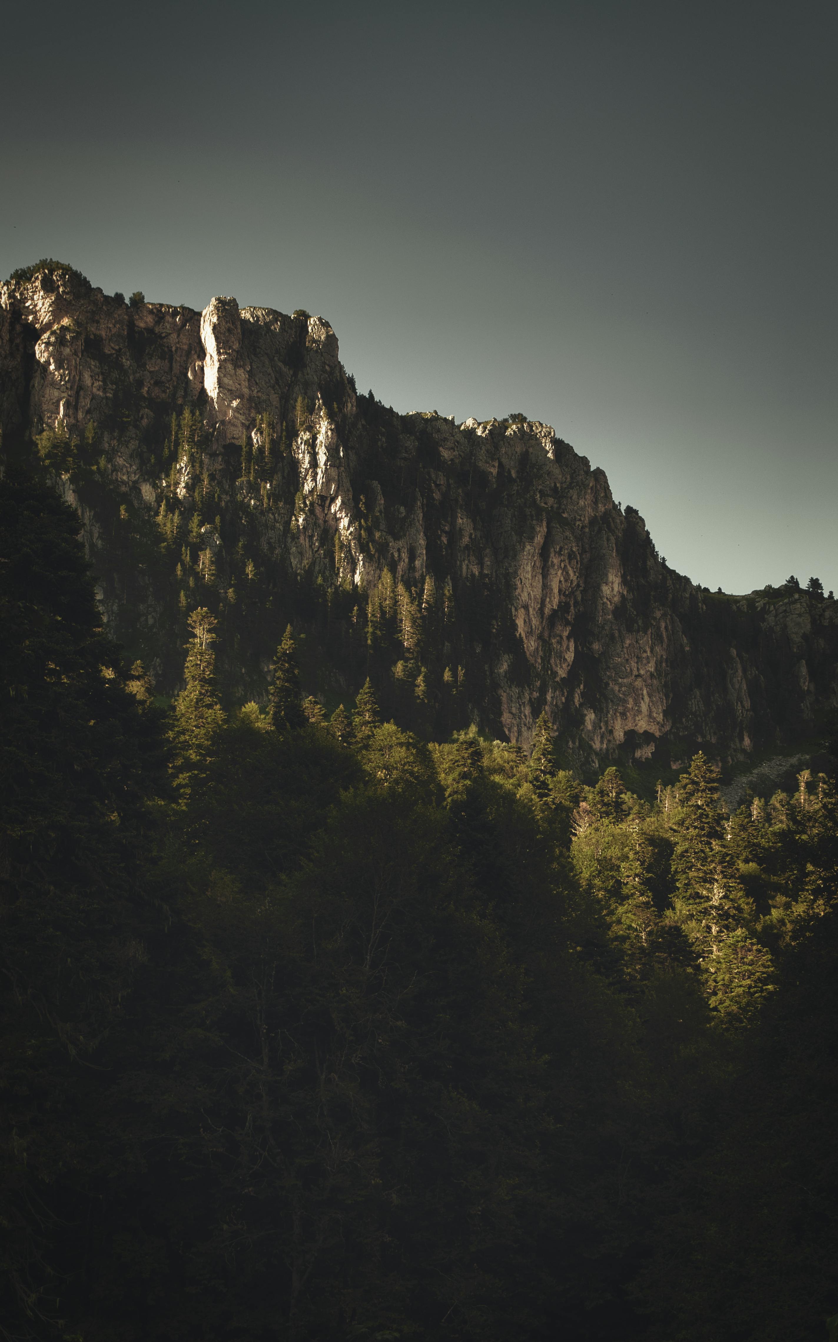 Thick Forest Trees On The Foot Of A Rock Mountain Under Gray Skies ...