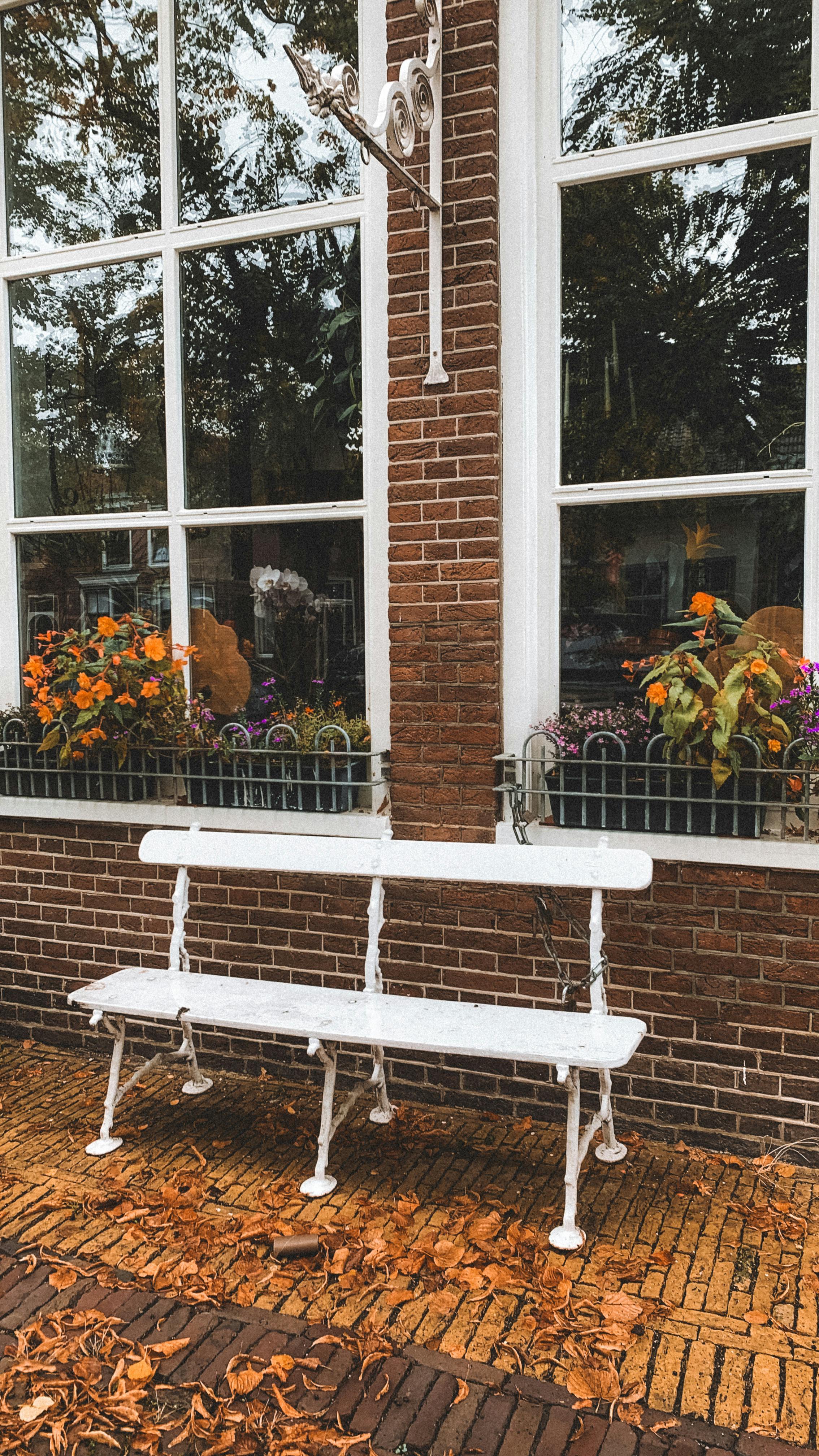 Charming Autumn Bench in Amsterdam · Free Stock Photo