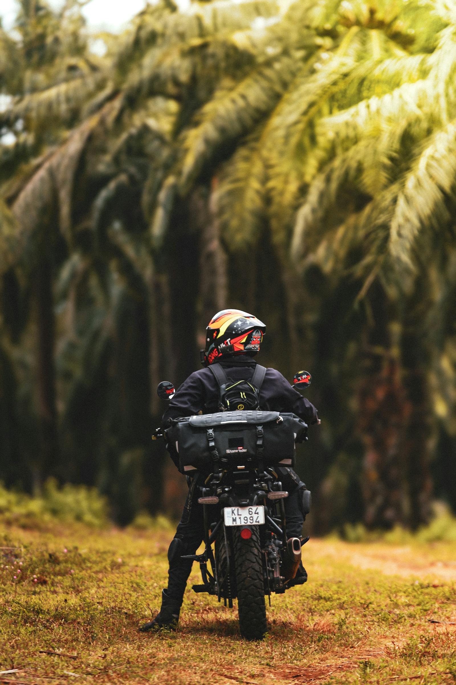 Adventurer Photos, Download The BEST Free Adventurer Stock Photos & HD ...