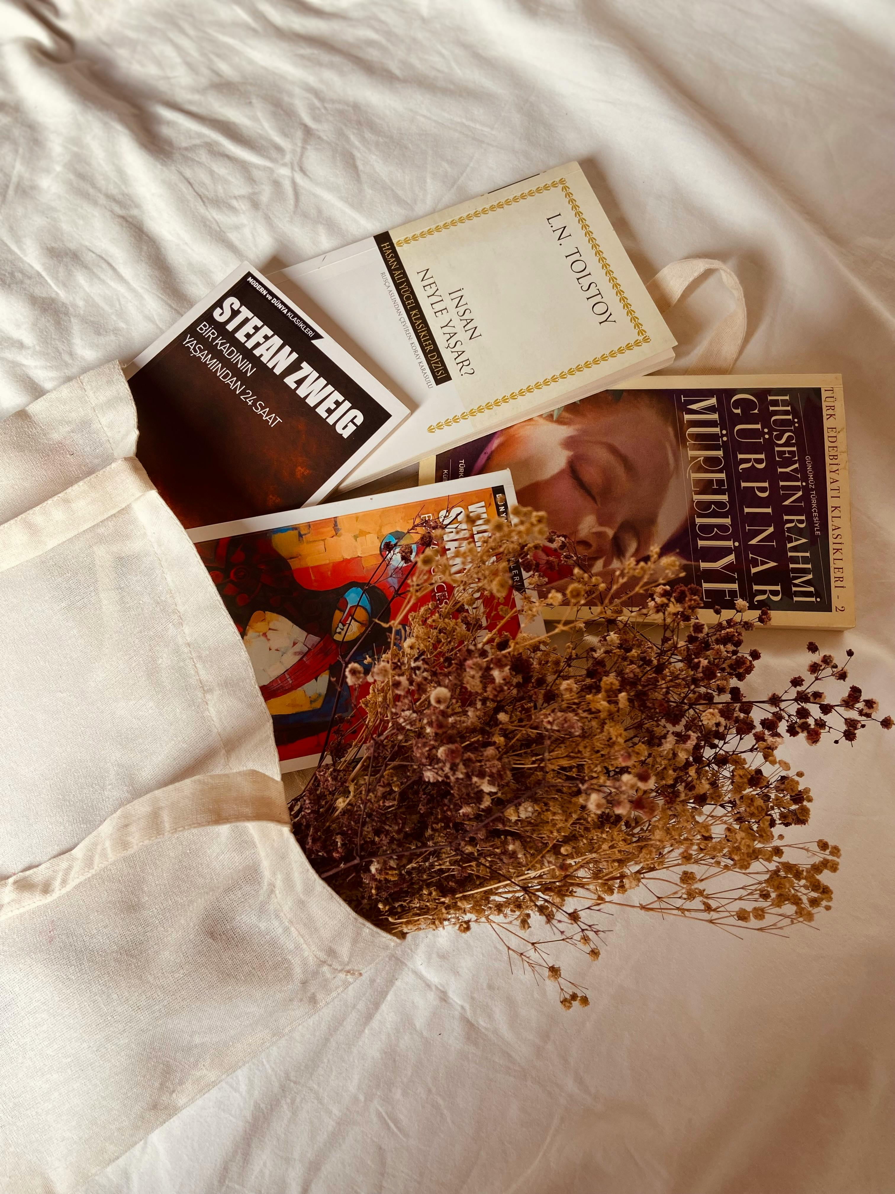 Shiroq Rahmi Photos, Download The BEST Free Shiroq Rahmi Stock Photos ...