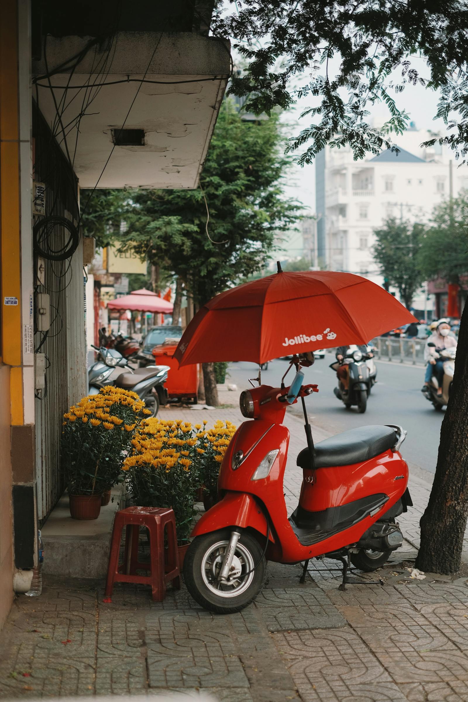 Jollibee Photos, Download The BEST Free Jollibee Stock Photos & HD Images