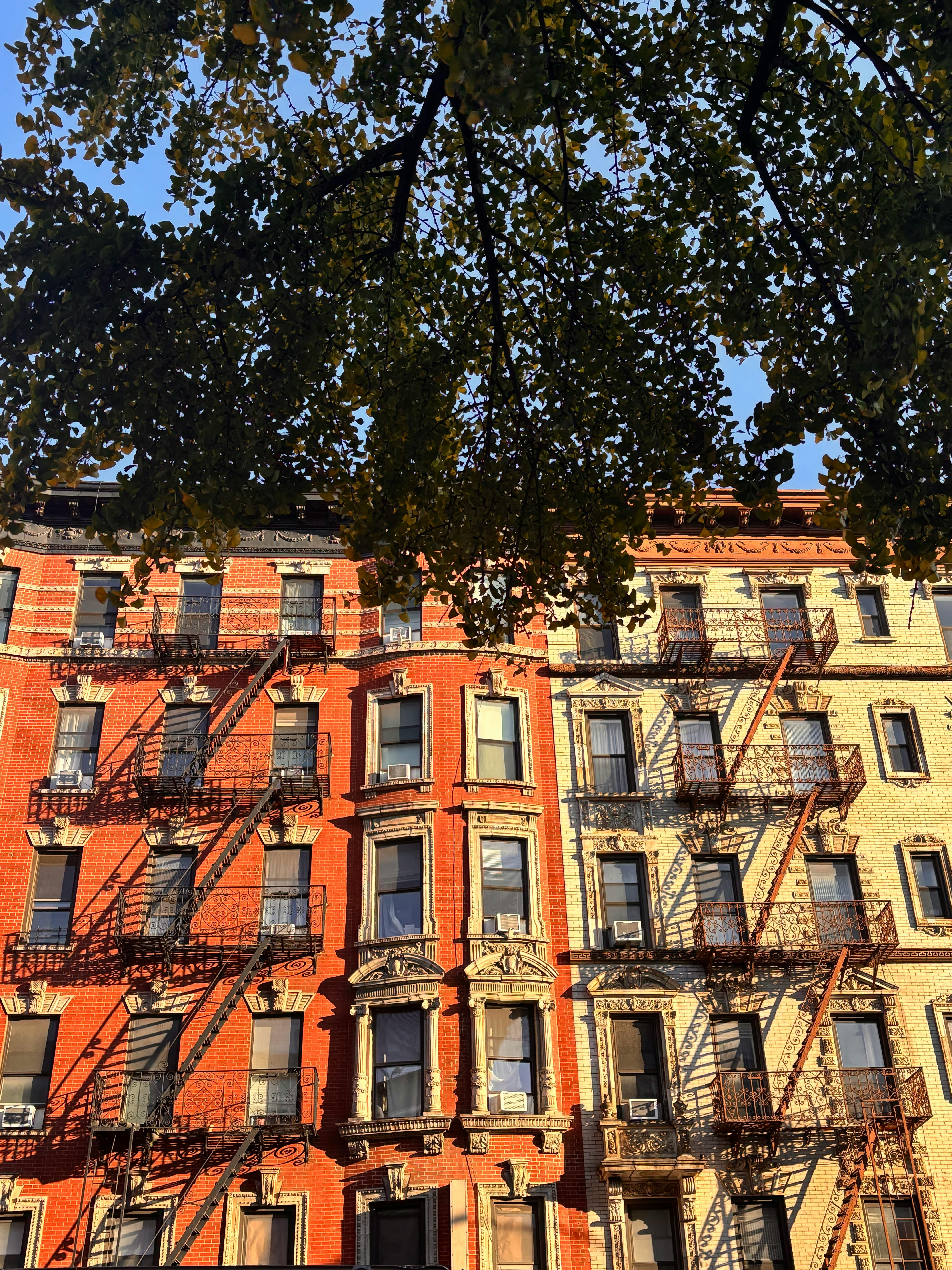 Historic New York City Apartment Buildings at Sunset · Free Stock Photo