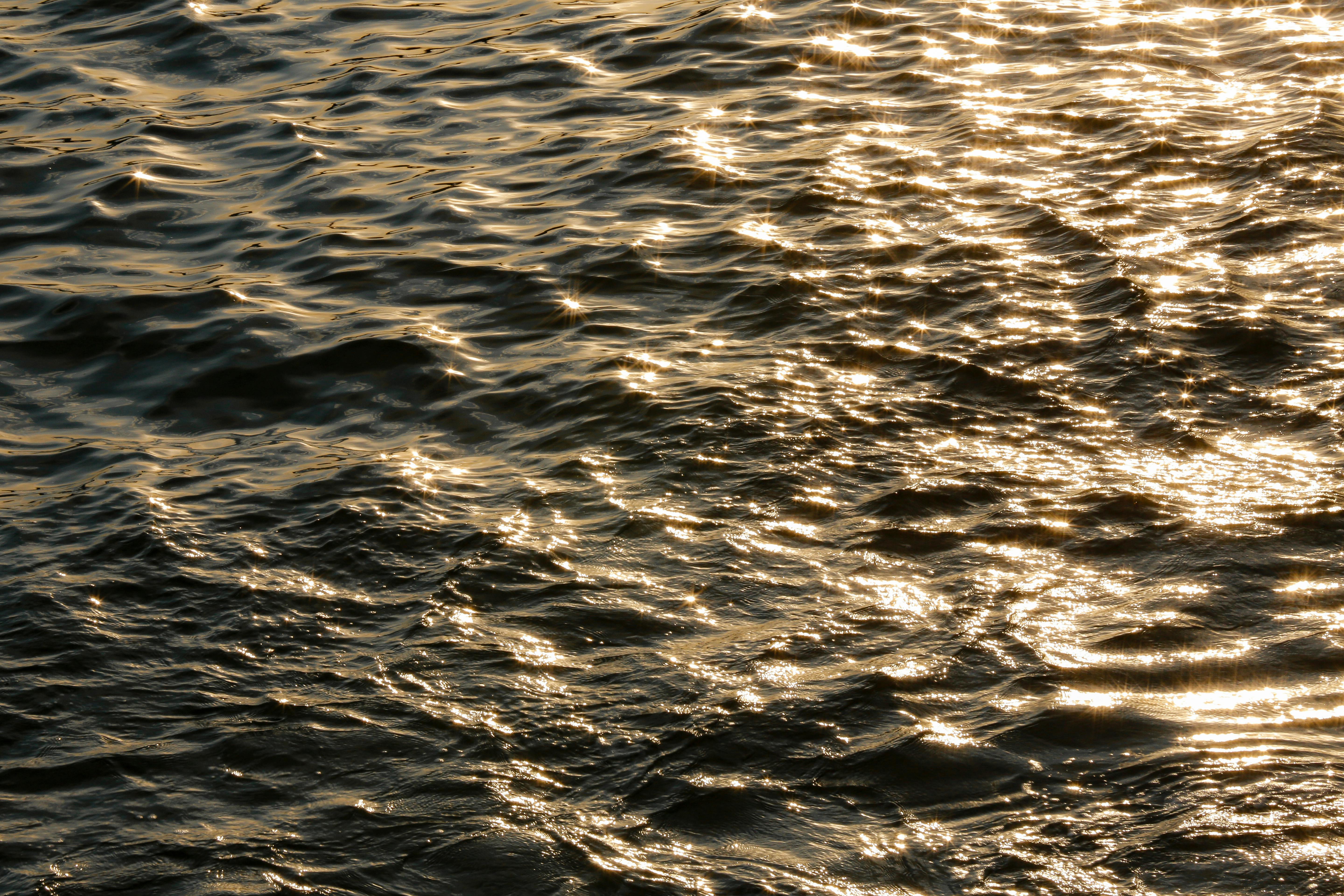 Water Light Photos, Download The BEST Free Water Light Stock Photos ...