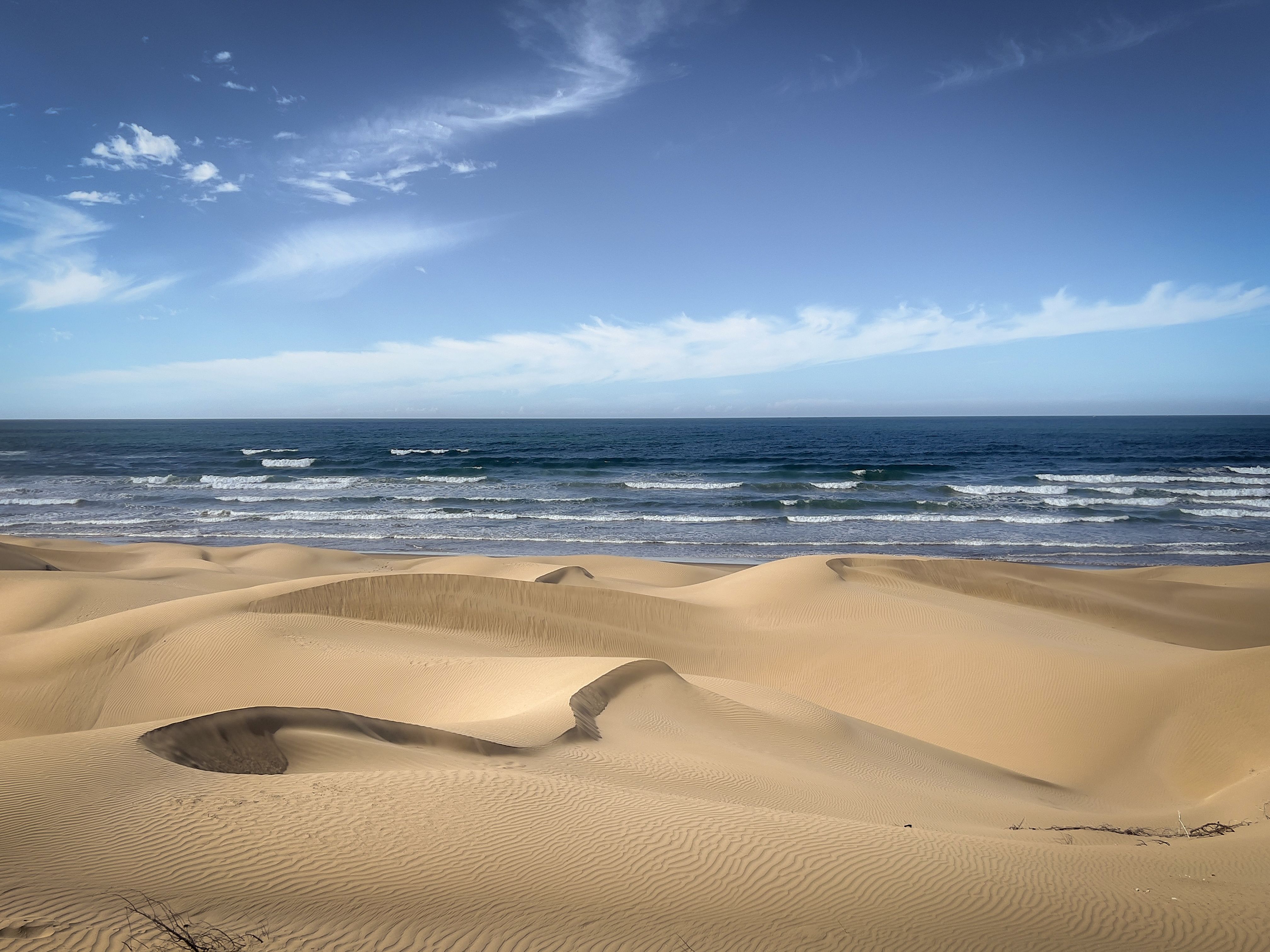 Tranquil Sand Dunes by the Ocean in Essaouira · Free Stock Photo