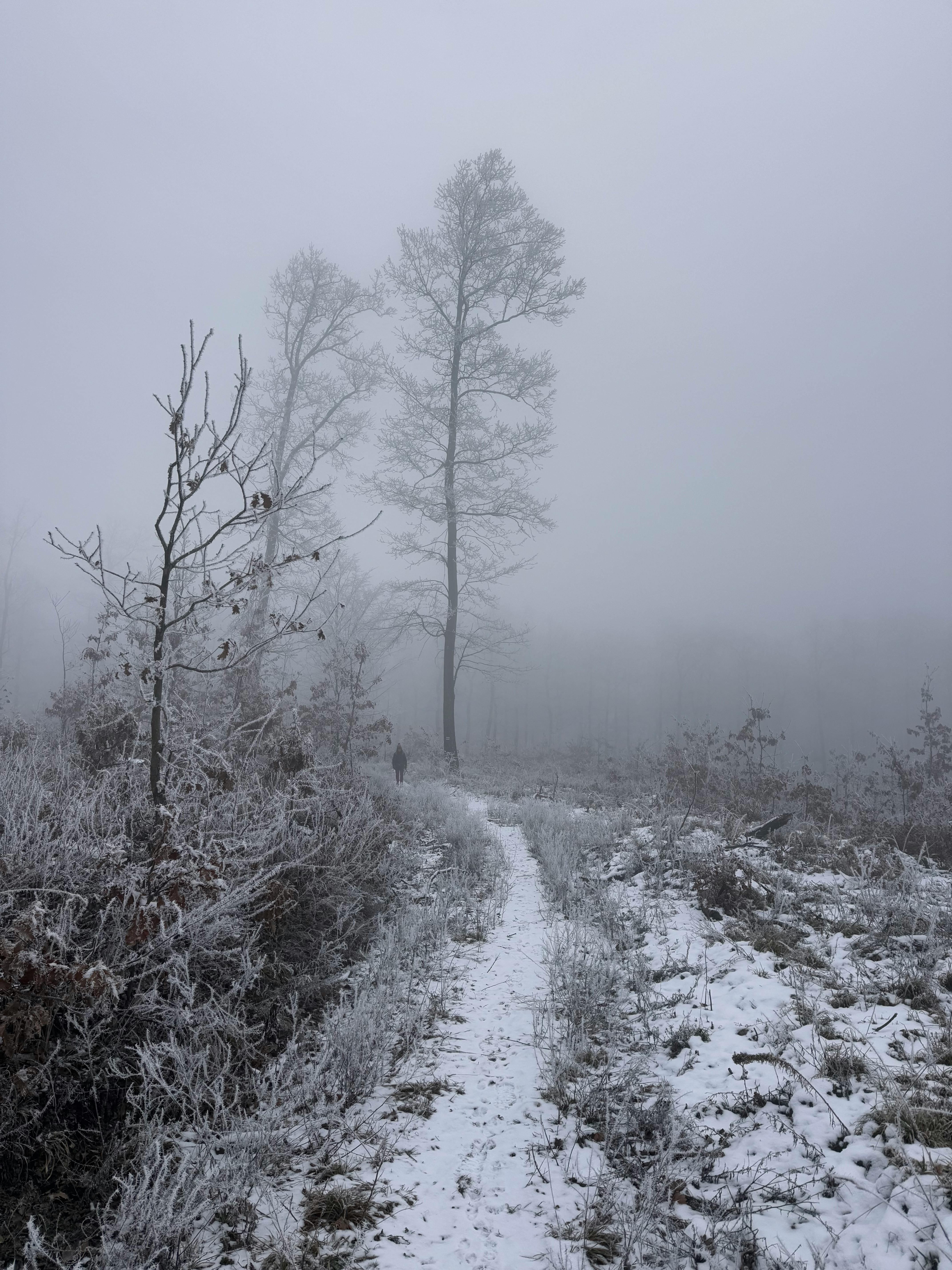 Low Angle Photo of Road With Snow · Free Stock Photo
